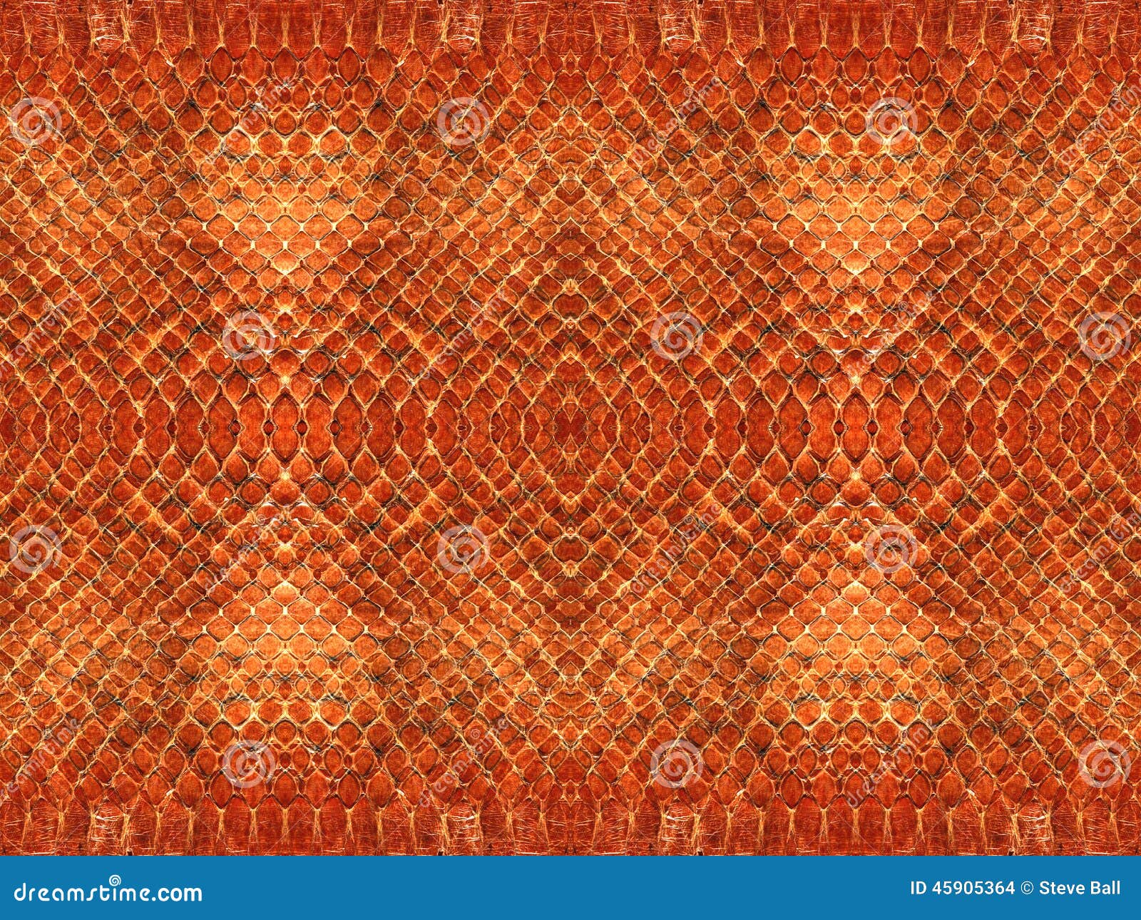 Snake skin pattern stock photo. Image of wildlife, texture - 45905364