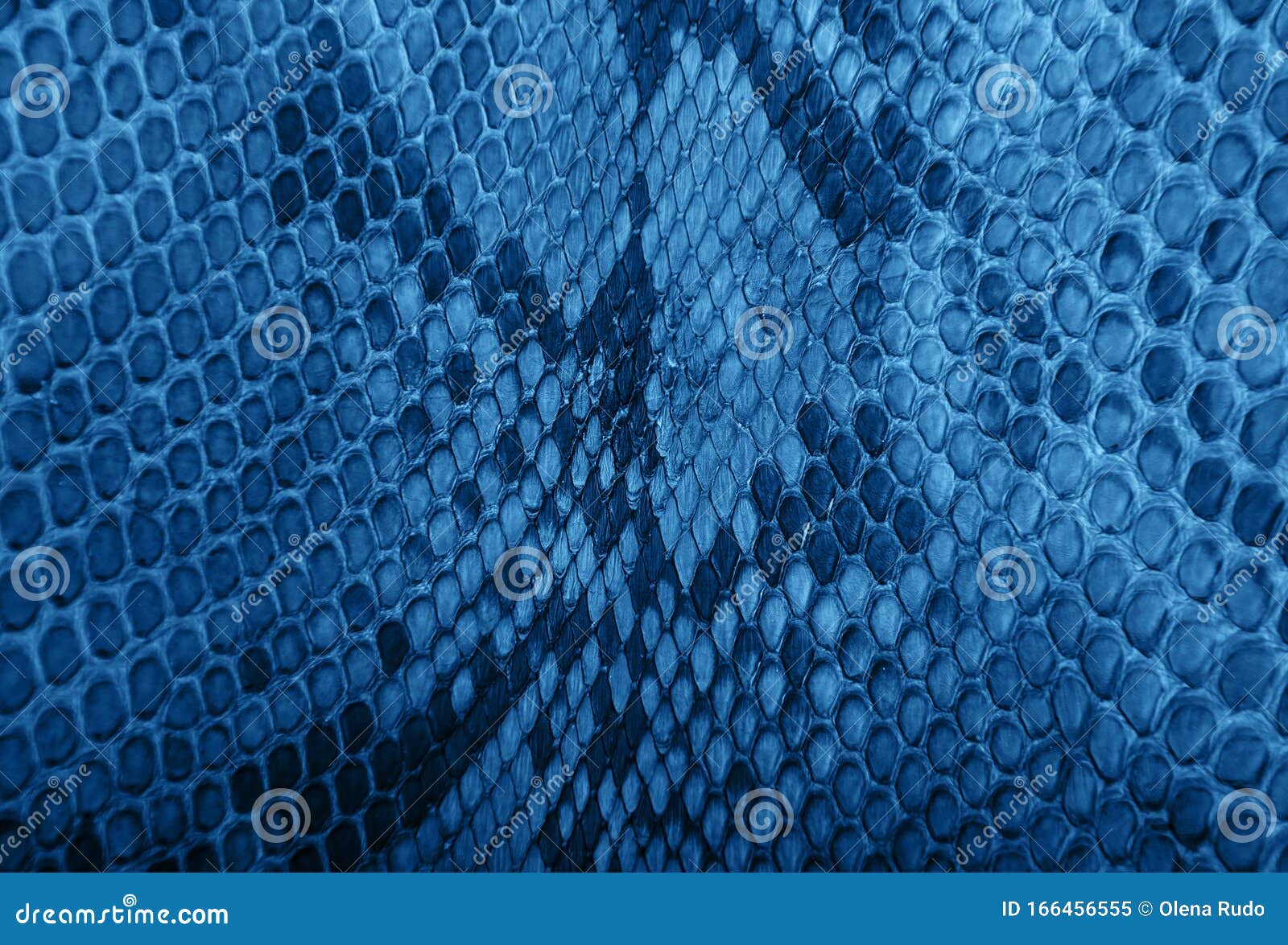 Snake Skin Pattern Toned Classic Blue Color Stock Image - Image of ...