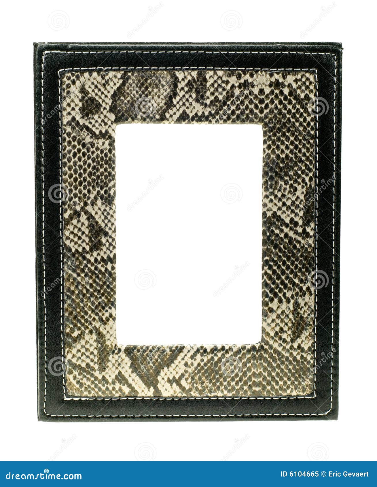 477 Snake Skin Border Photos - Free & Royalty-Free Stock Photos from ...