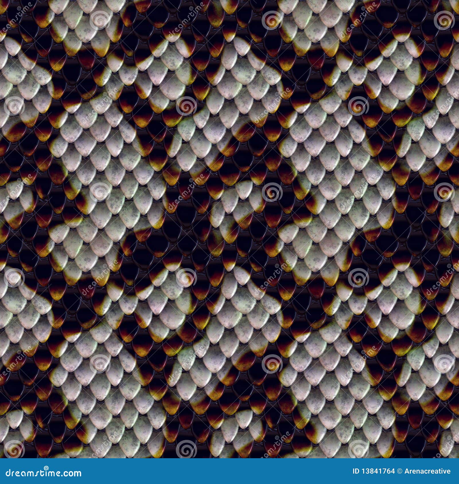 Boa Constrictor Skin Pattern, Close-up Detail, Vibrant Scales, Alive ...