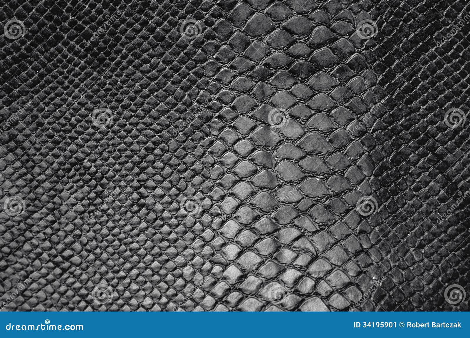 Black Snake Skin