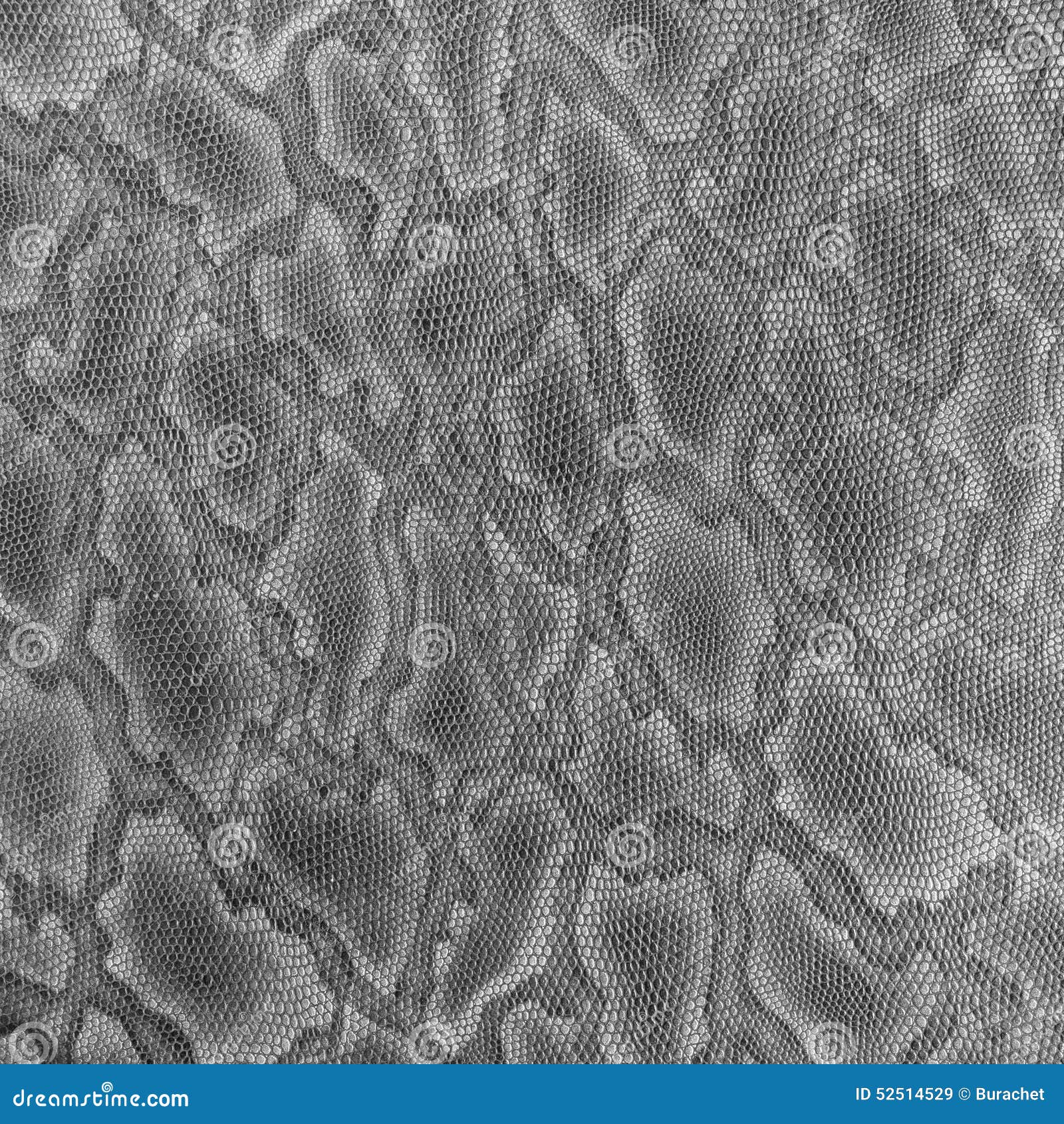 Snake Skin Texture stock image. Image of pattern, decorative - 52514529