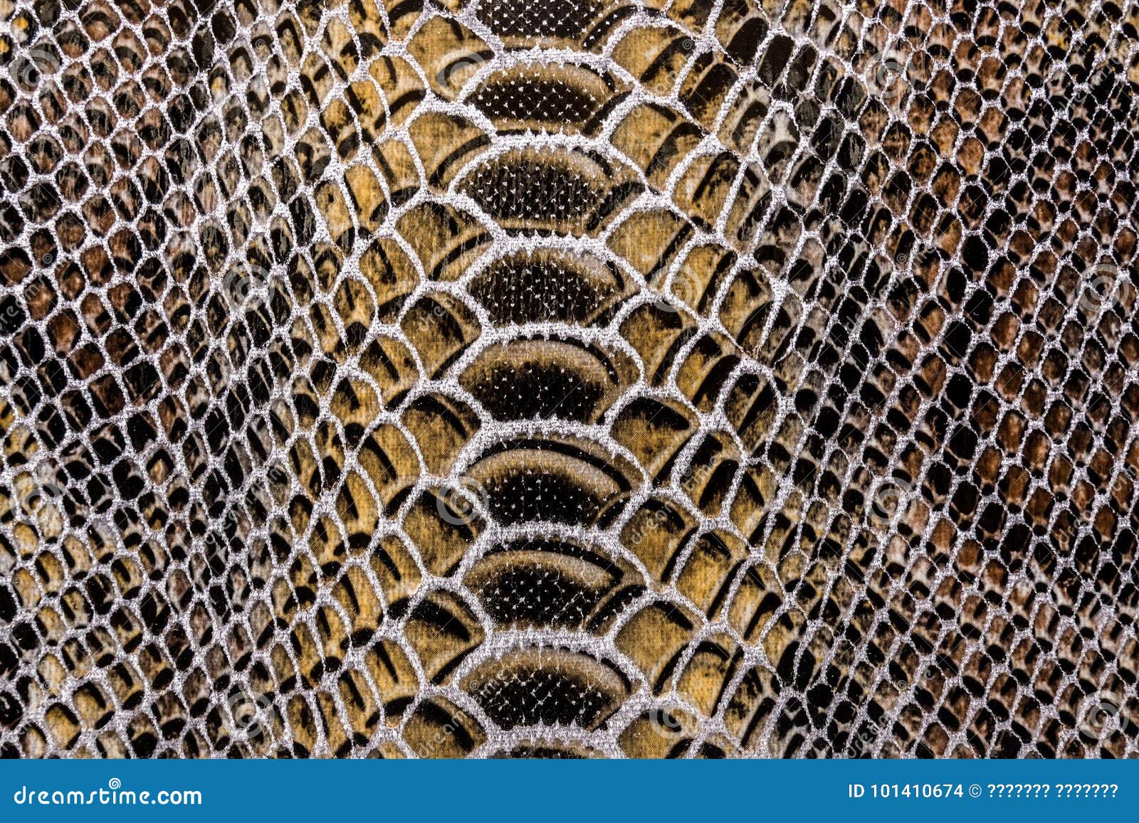 Snake skin texture stock photo. Image of fabric, seamless - 101410674