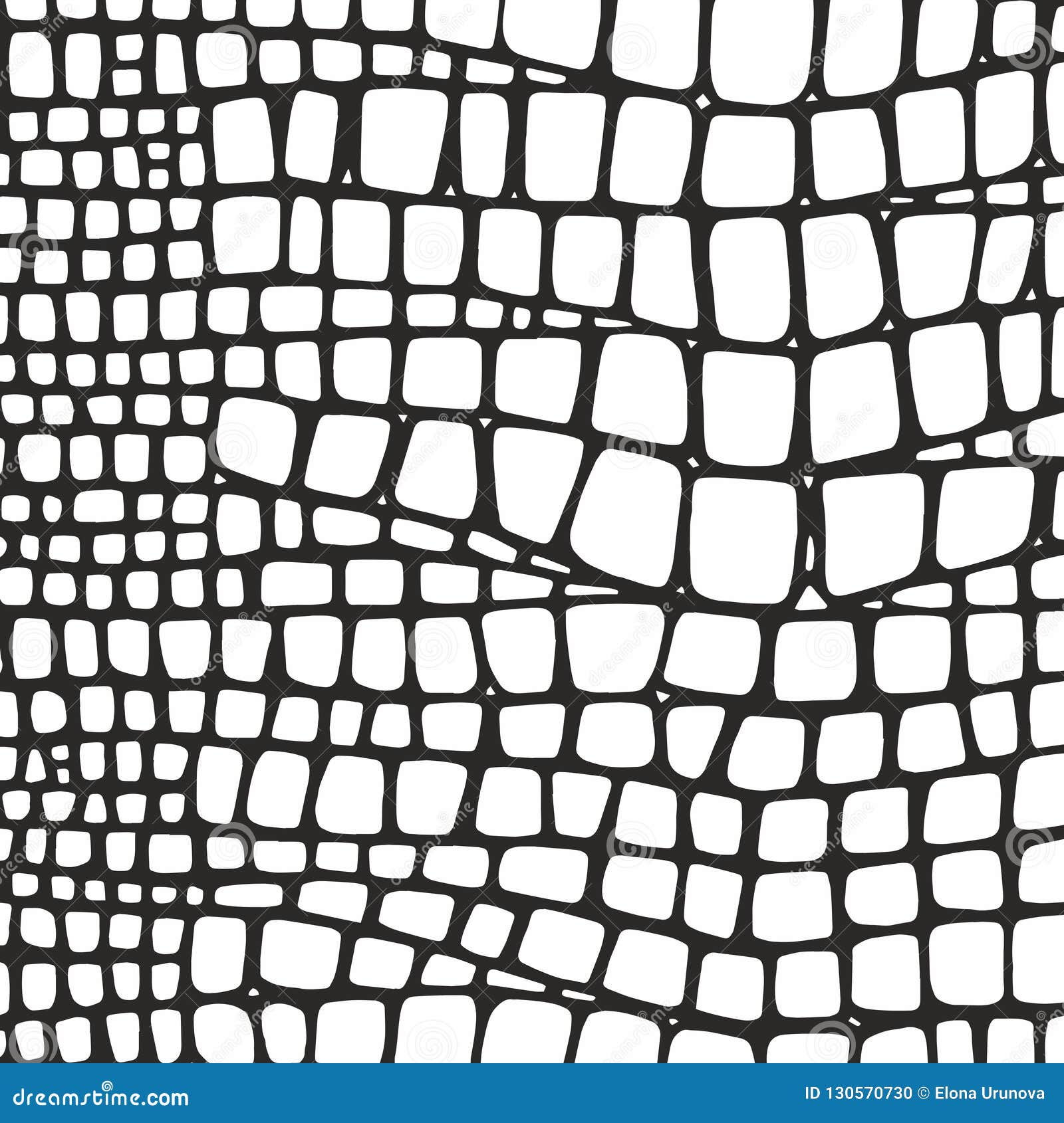 Snake Skin. Black and White Texture. Stock Vector - Illustration of ...