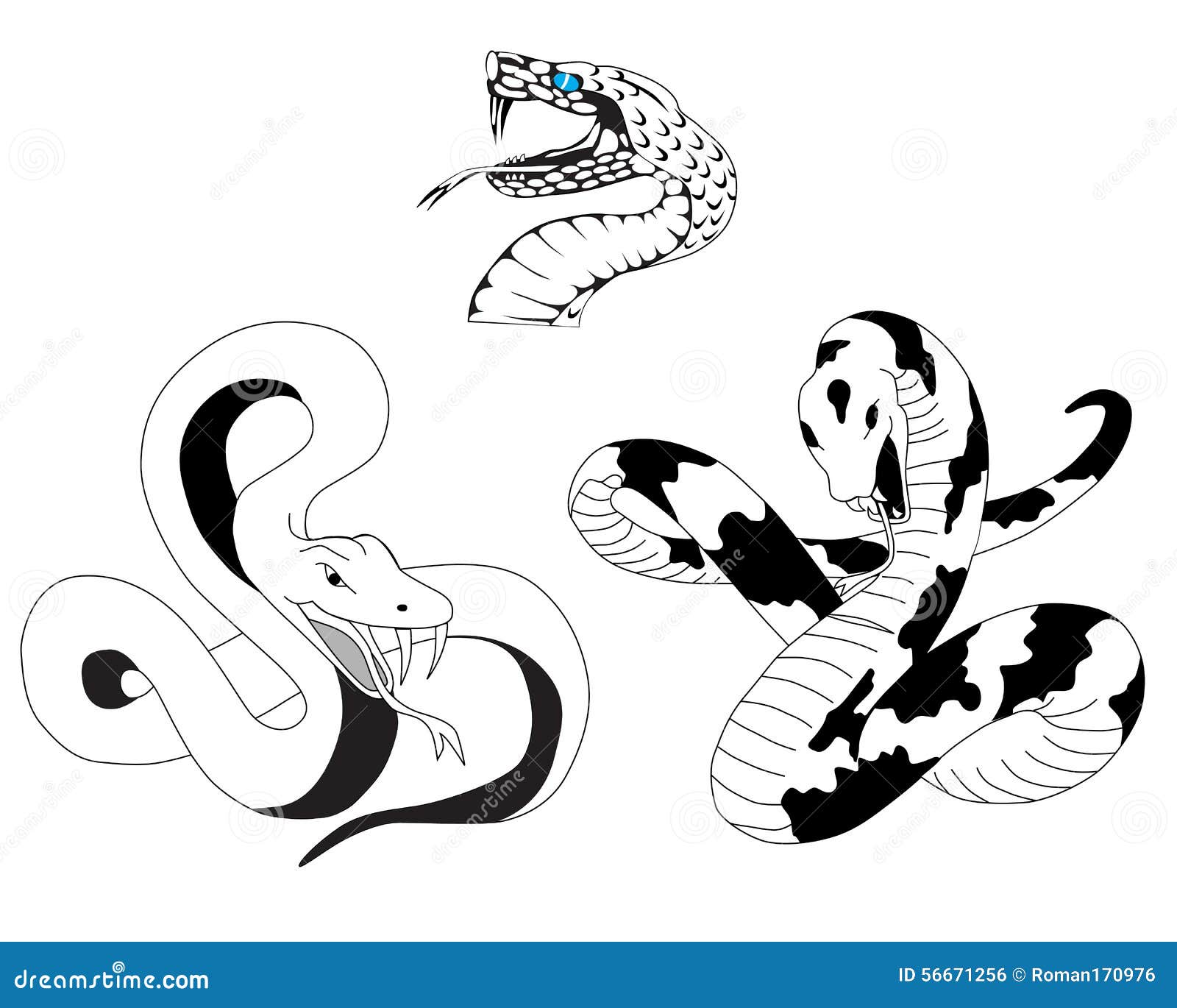 Three Headed Snake Tattoo