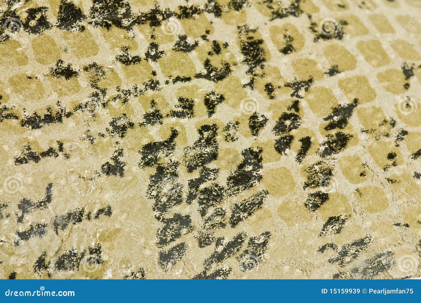 Snake texture stock image. Image of cloth, luxury, fabric - 15159939