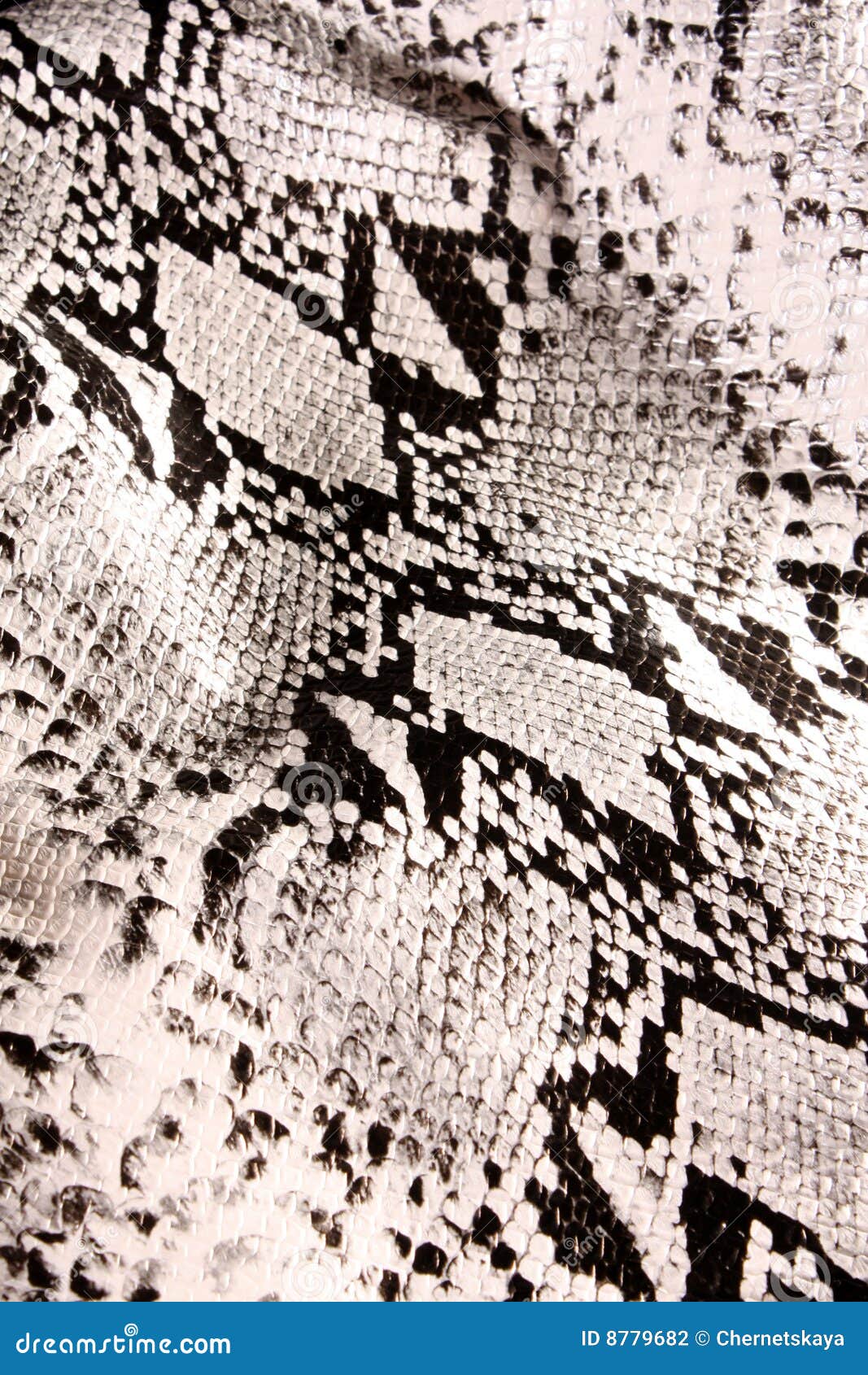 Snake texture stock photo. Image of piece, pattern, material - 8779682