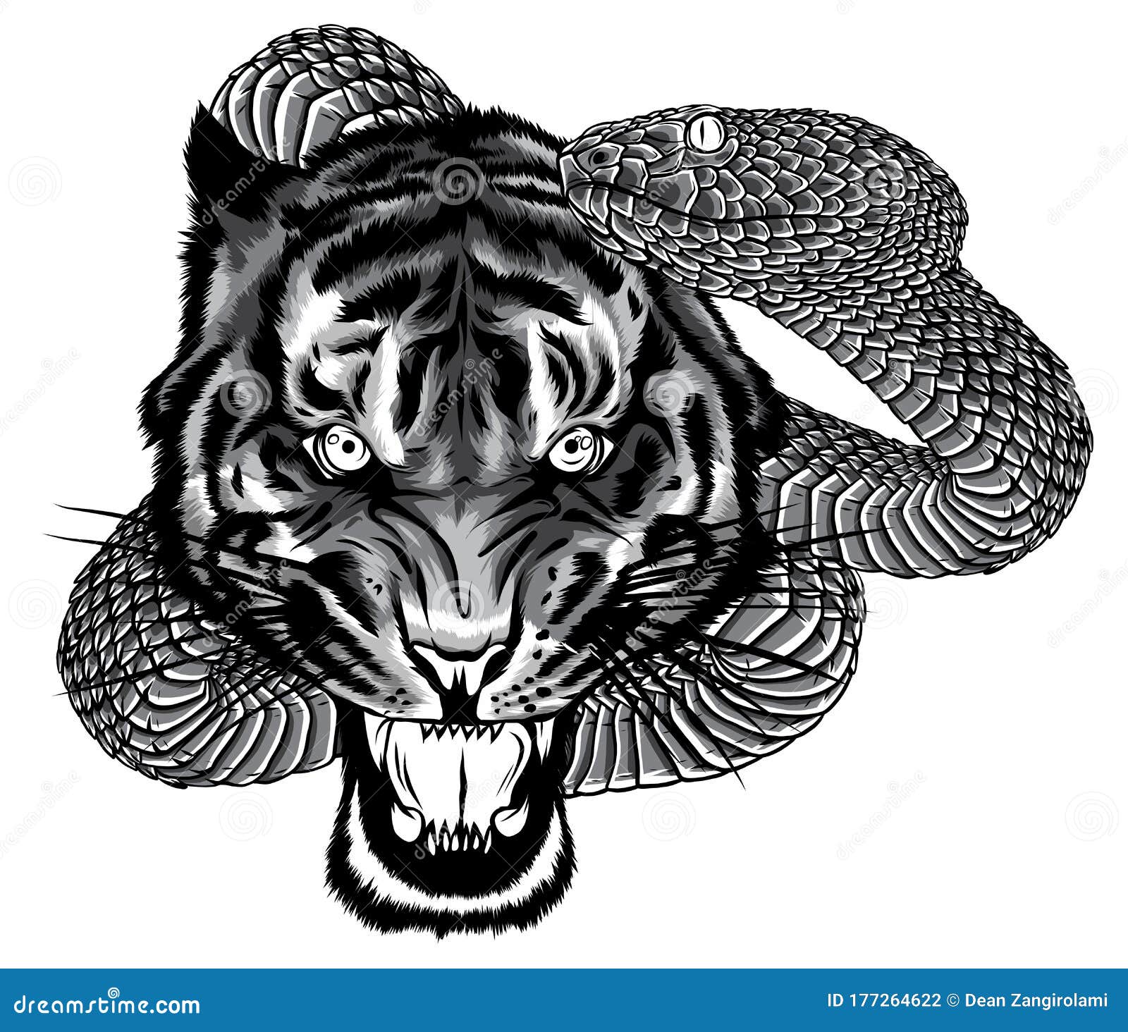 Snake and Tiger Fighting, Tattoo Illustration Design Stock Vector ...