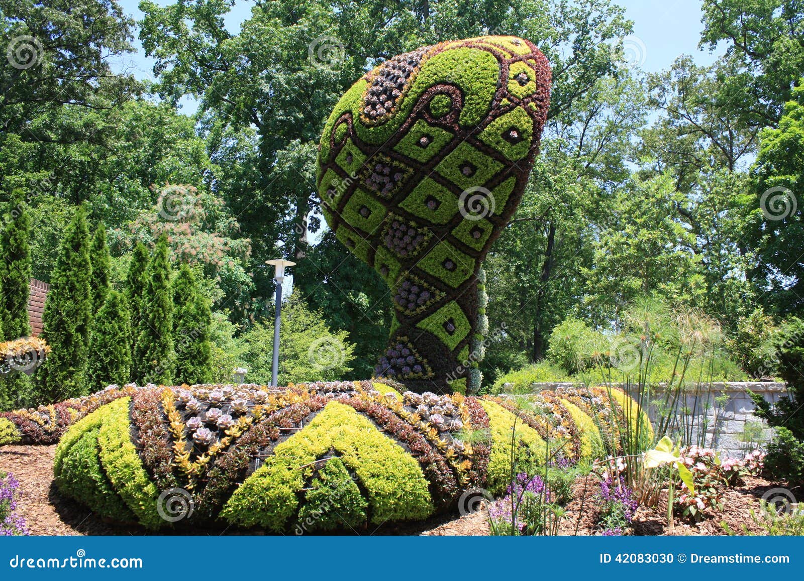 Snake Topiary stock photo. Image of forest, plant, grass - 42083030