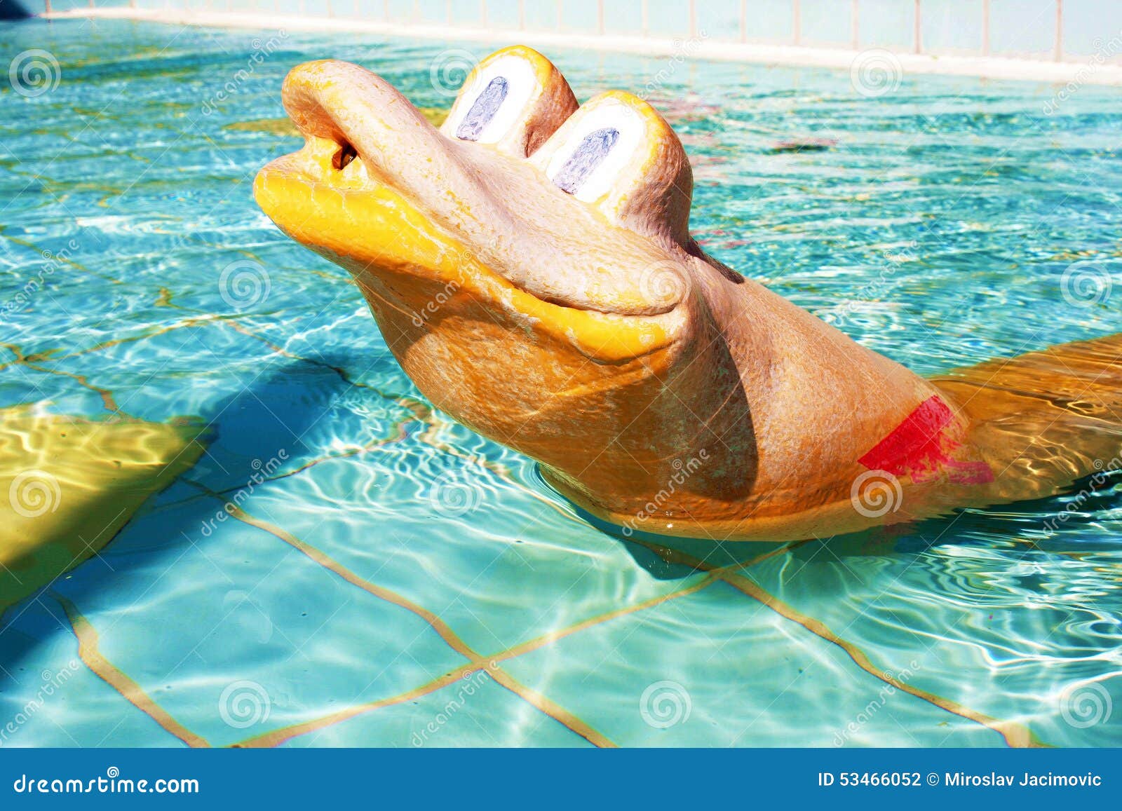 Snake Toy in the Pool for Kids Stock Photo - Image of enjoy, dive: 53466052