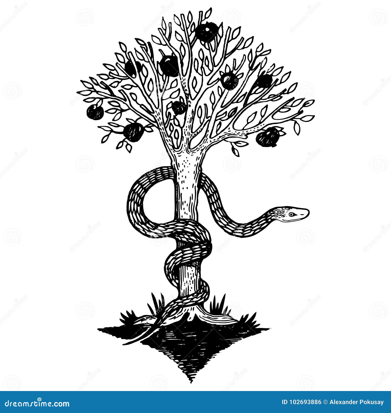 Snake and Tree of Life Engraving Vector Stock Vector - Illustration of ...