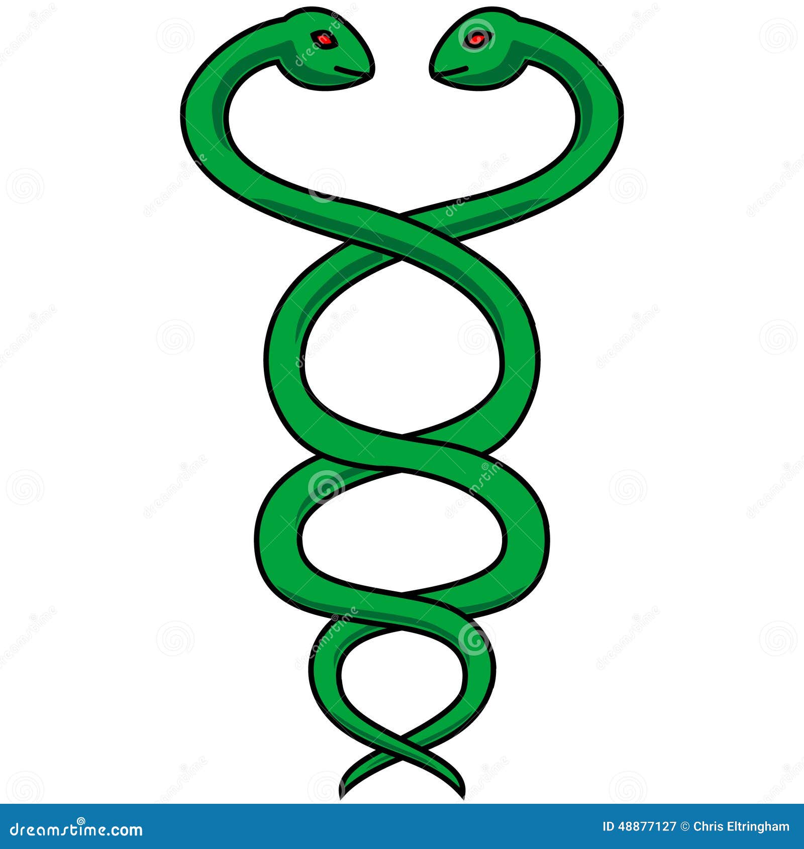 Snake Twins stock vector. Illustration of black, cartoon - 48877127