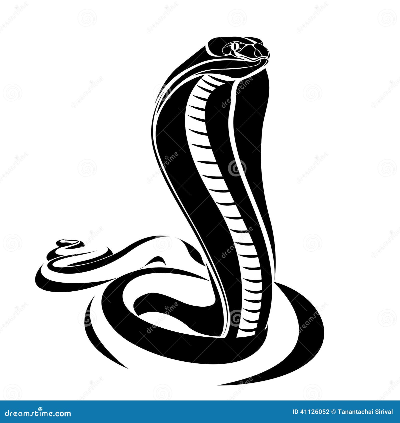 Snake vector stock vector. Illustration of sign, decorative - 41126052