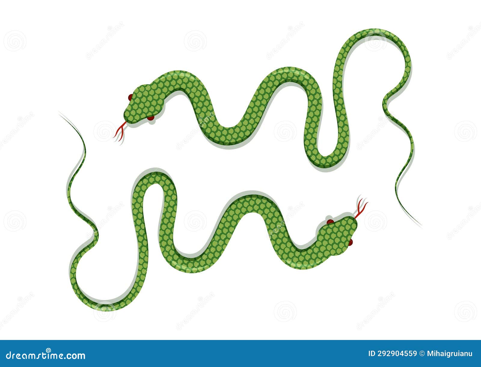 Green Snakes Character. Vector Illustration | CartoonDealer.com #278604186