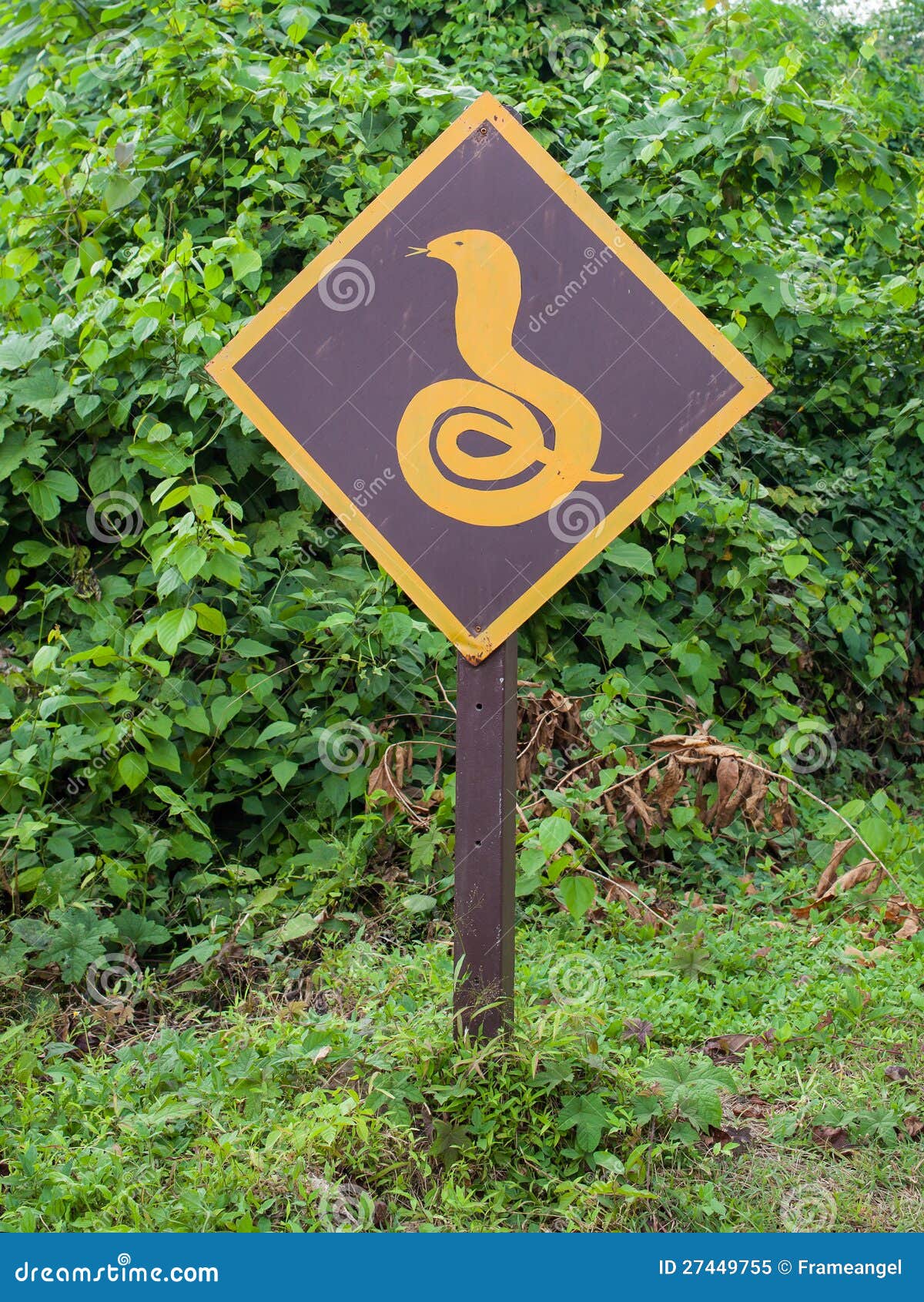 Snake Warning Sign stock image. Image of caution, desert - 27449755