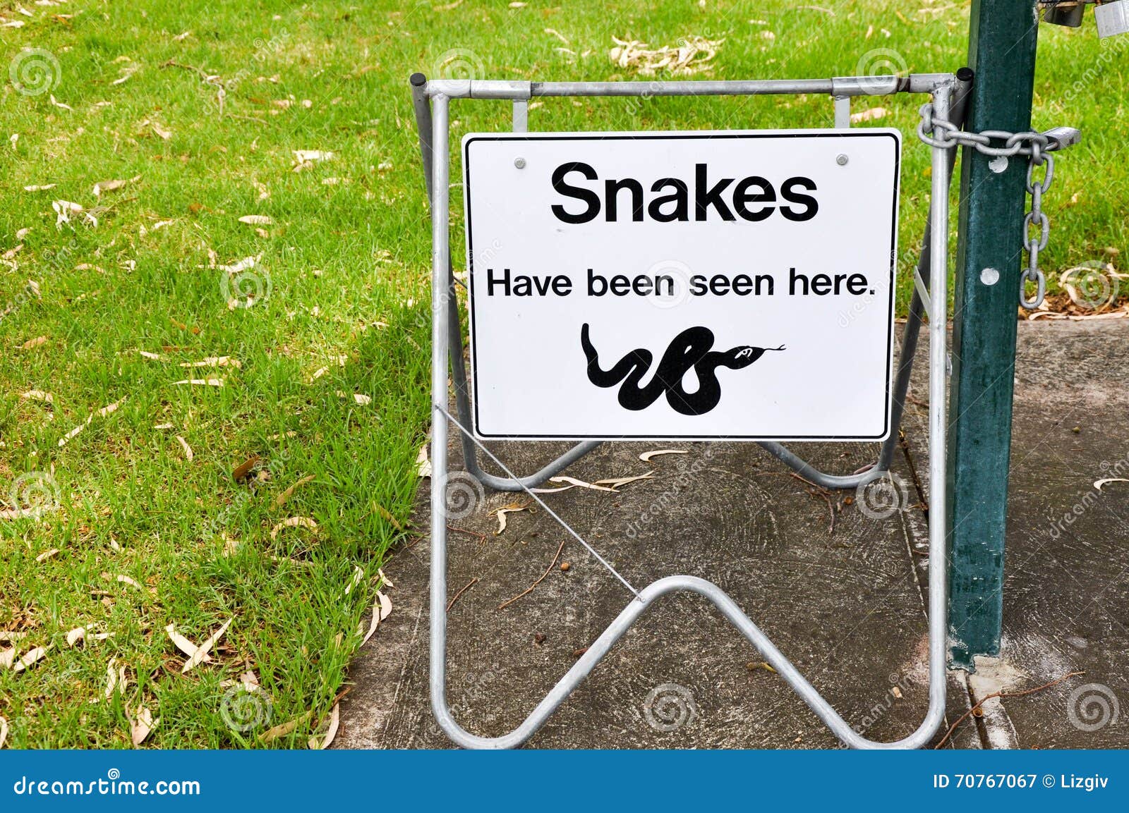 Snake Warning stock image. Image of snake, park, grass - 70767067