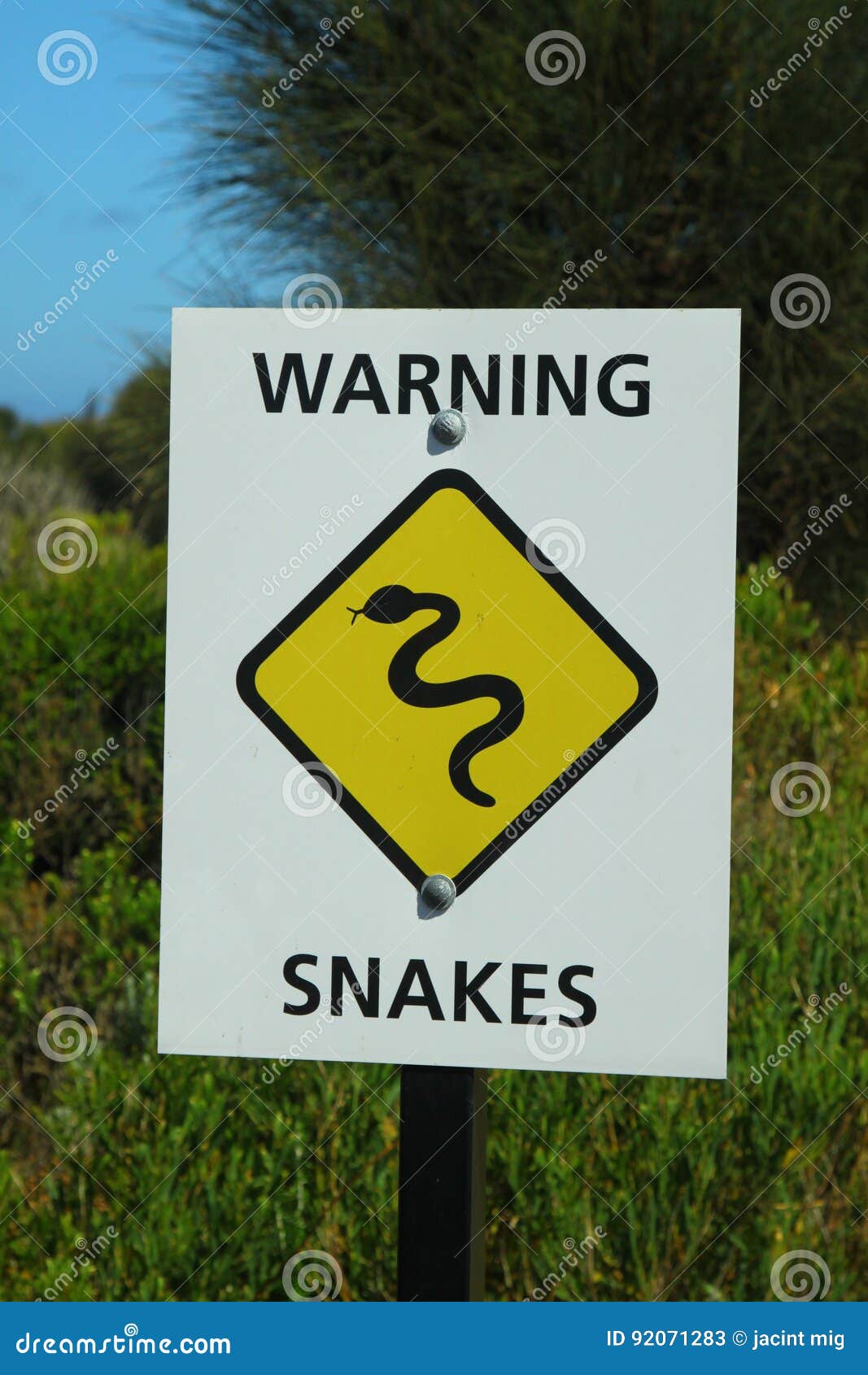 Snake Warning Sign Stock Image | CartoonDealer.com #73449463