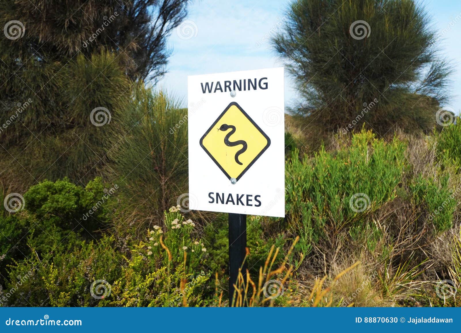 Snake warning sign stock photo. Image of signal, afternoon - 88870630