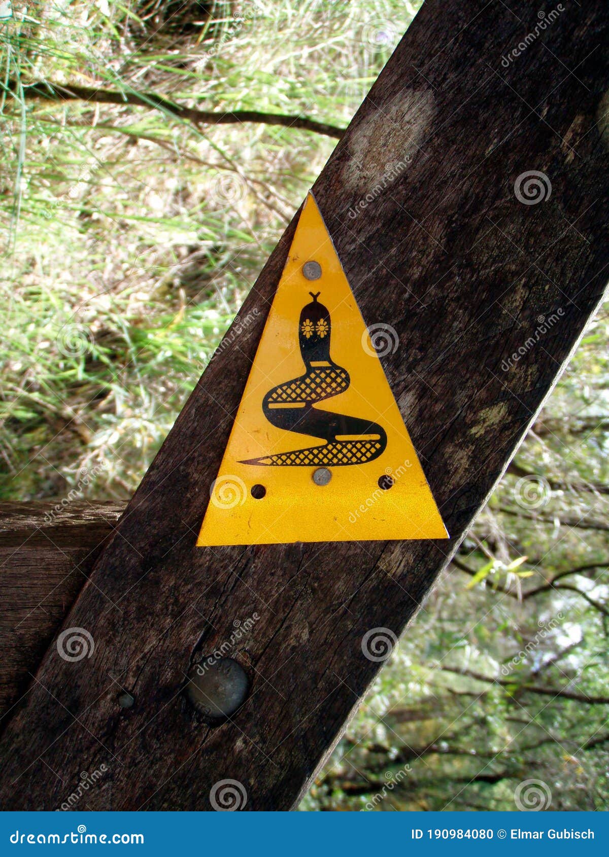 Snake Warning Sign in the Woods Stock Photo - Image of creature ...
