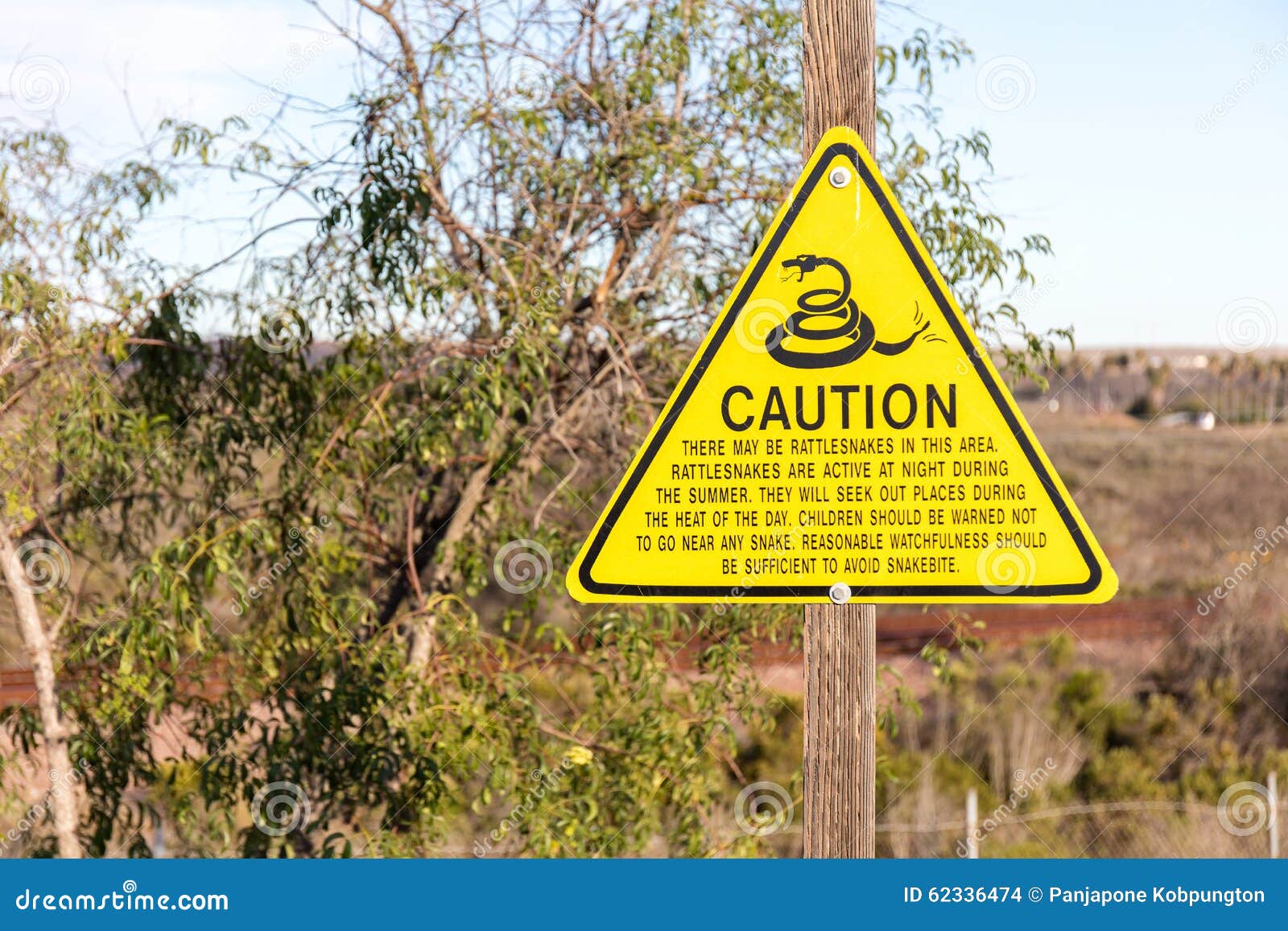 Snake warning stock photo. Image of yellow, animal, hazard - 62336474