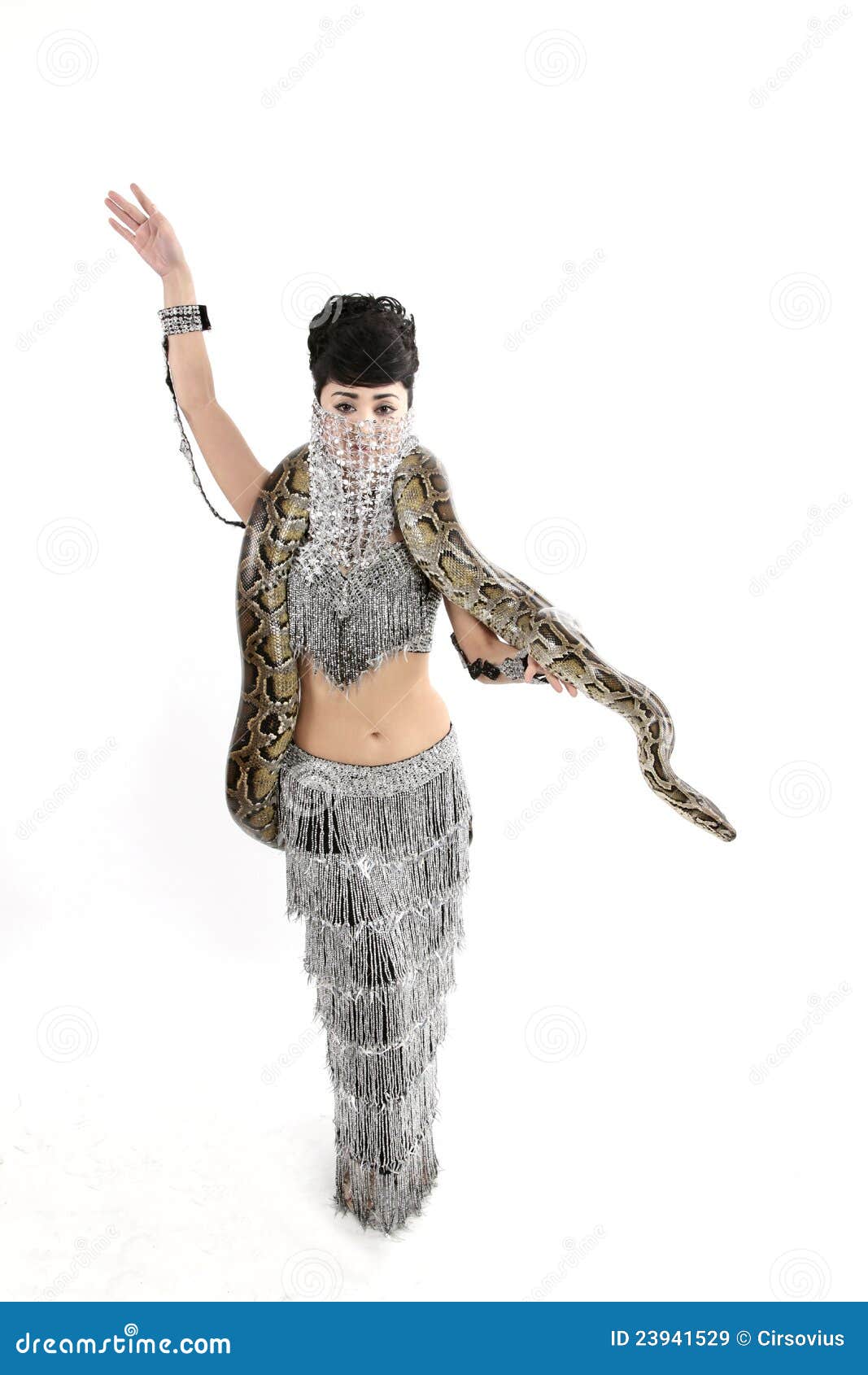 Snake woman stock image. Image of beautiful, dancer, asian - 23941529