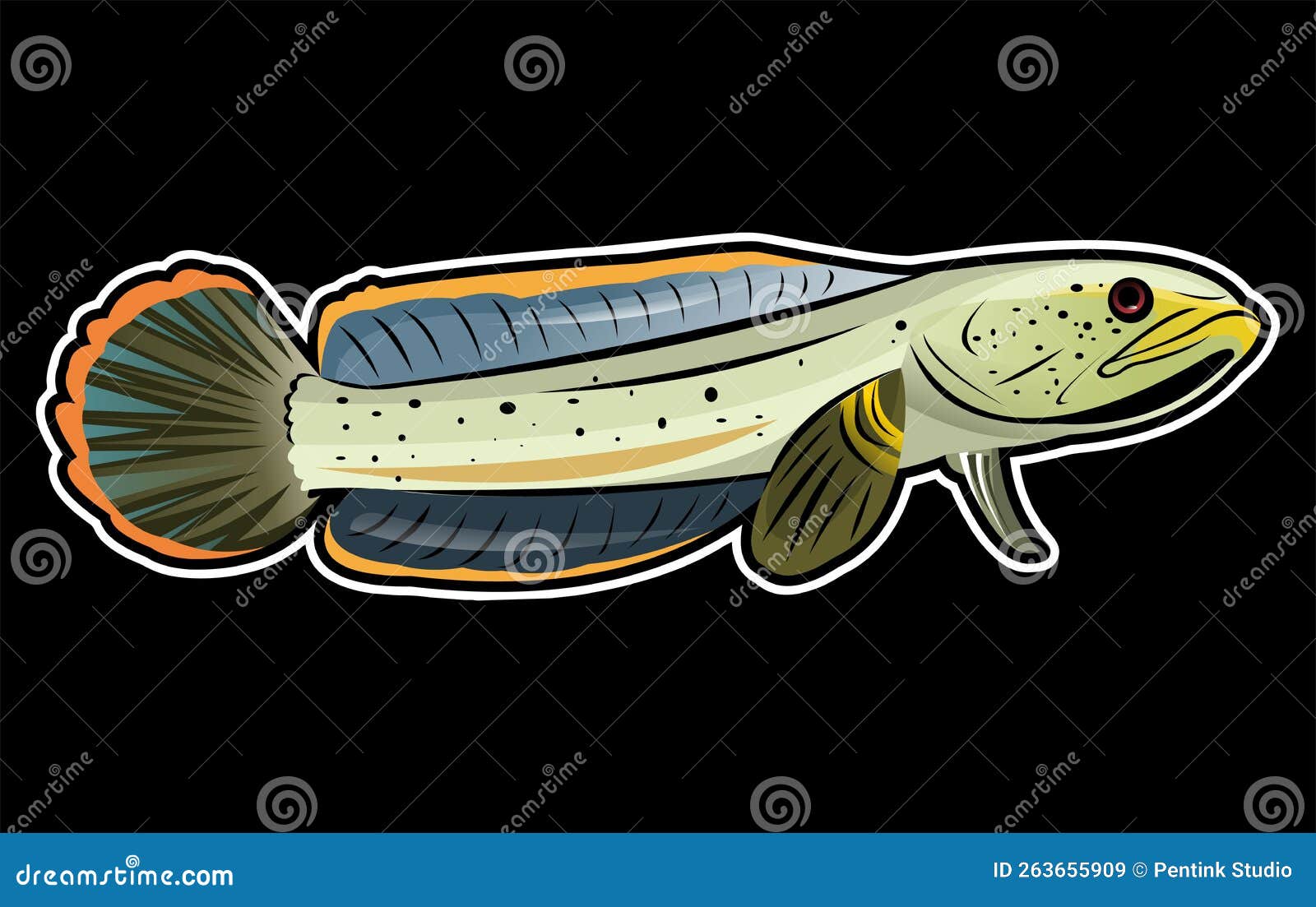 Snakehead Fish Vector stock vector. Illustration of asia - 263655909
