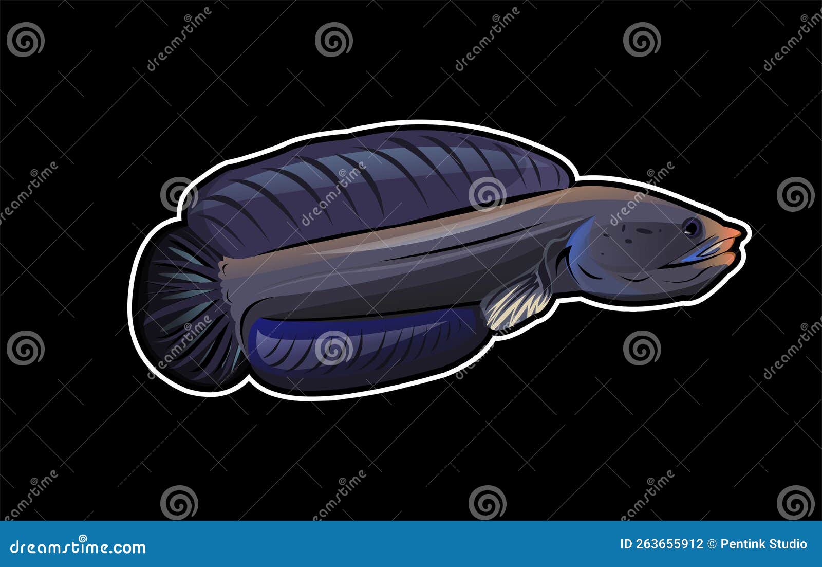 Snakehead Fish Vector stock vector. Illustration of snakehead - 263655912