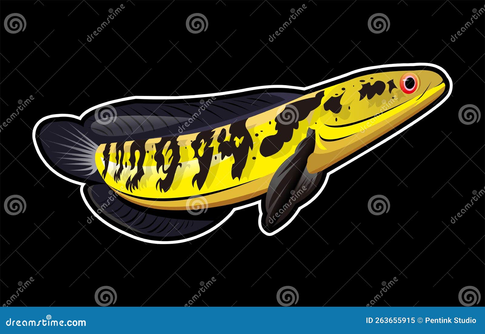 Snakehead Fish Vector stock vector. Illustration of asia - 263655915