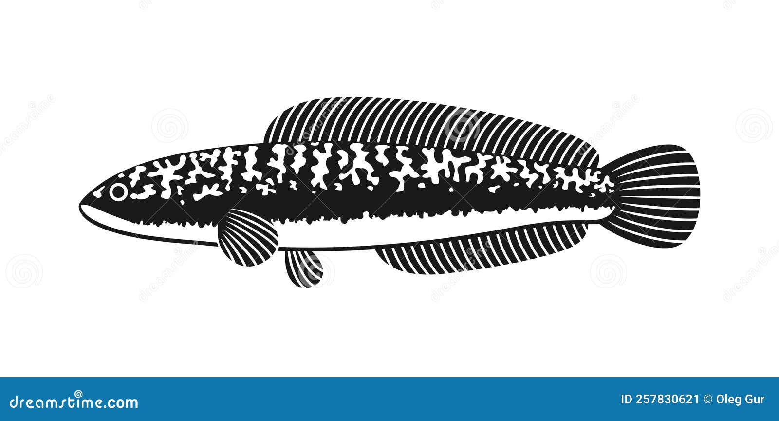 Snakehead Logo. Isolated Snakehead On White Background Cartoon Vector ...