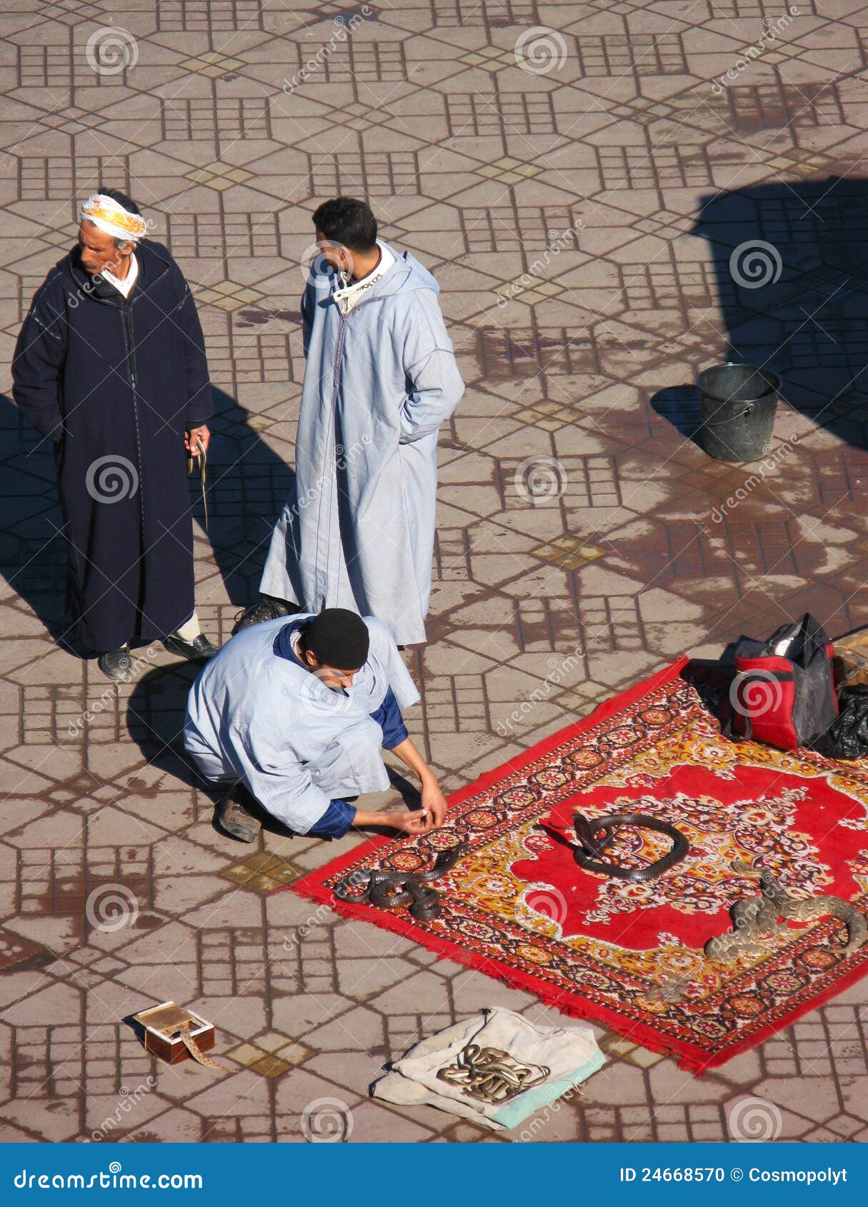Snakes in Djemaa El-Fna Square, Marrakech Editorial Image - Image of ...