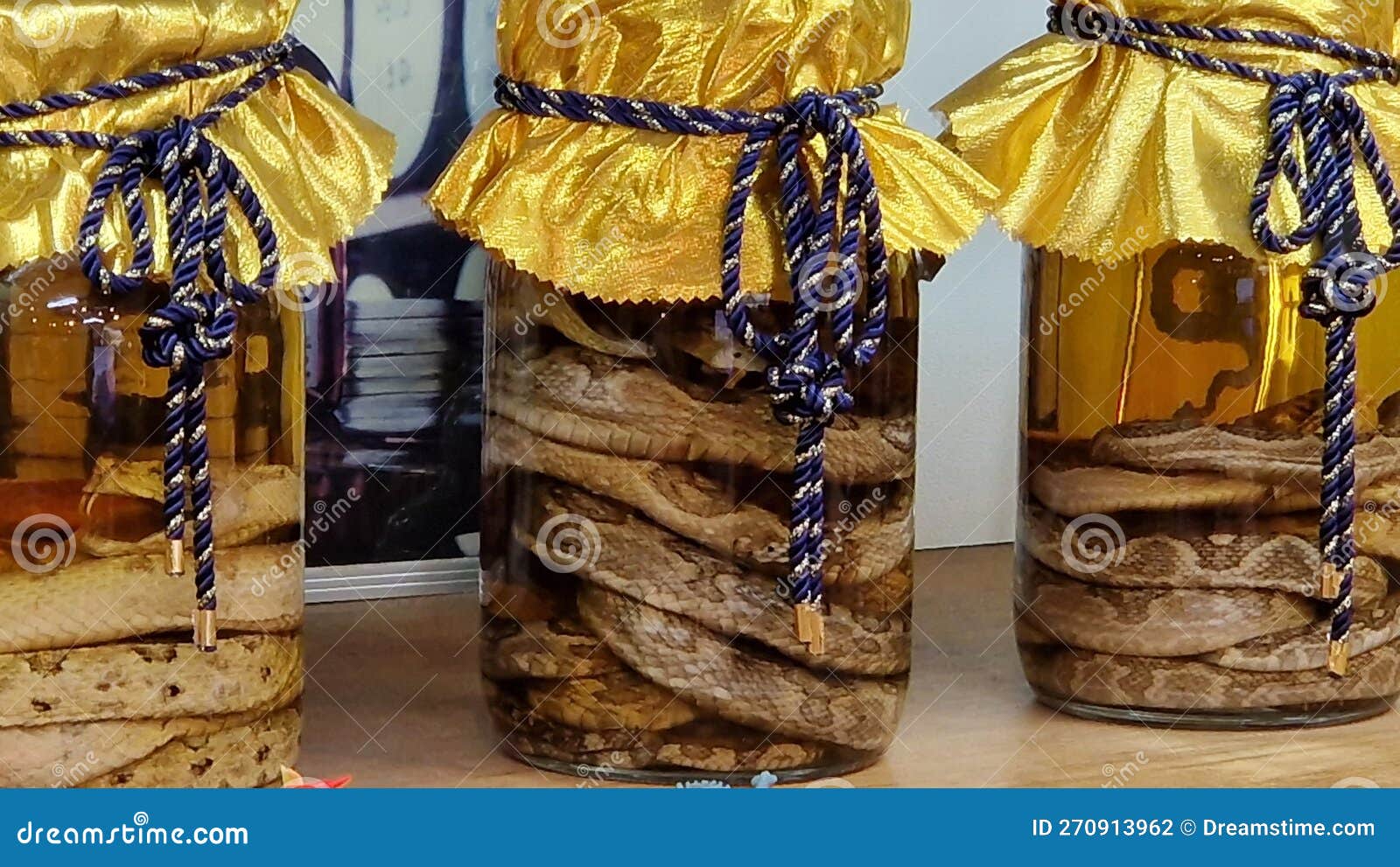 Snakes in Jar Alcohol from Japan Stock Photo - Image of furniture ...