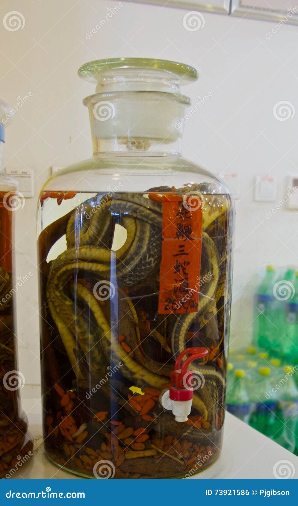 Snakes in a Jar editorial photo. Image of liquid, dream - 73921586