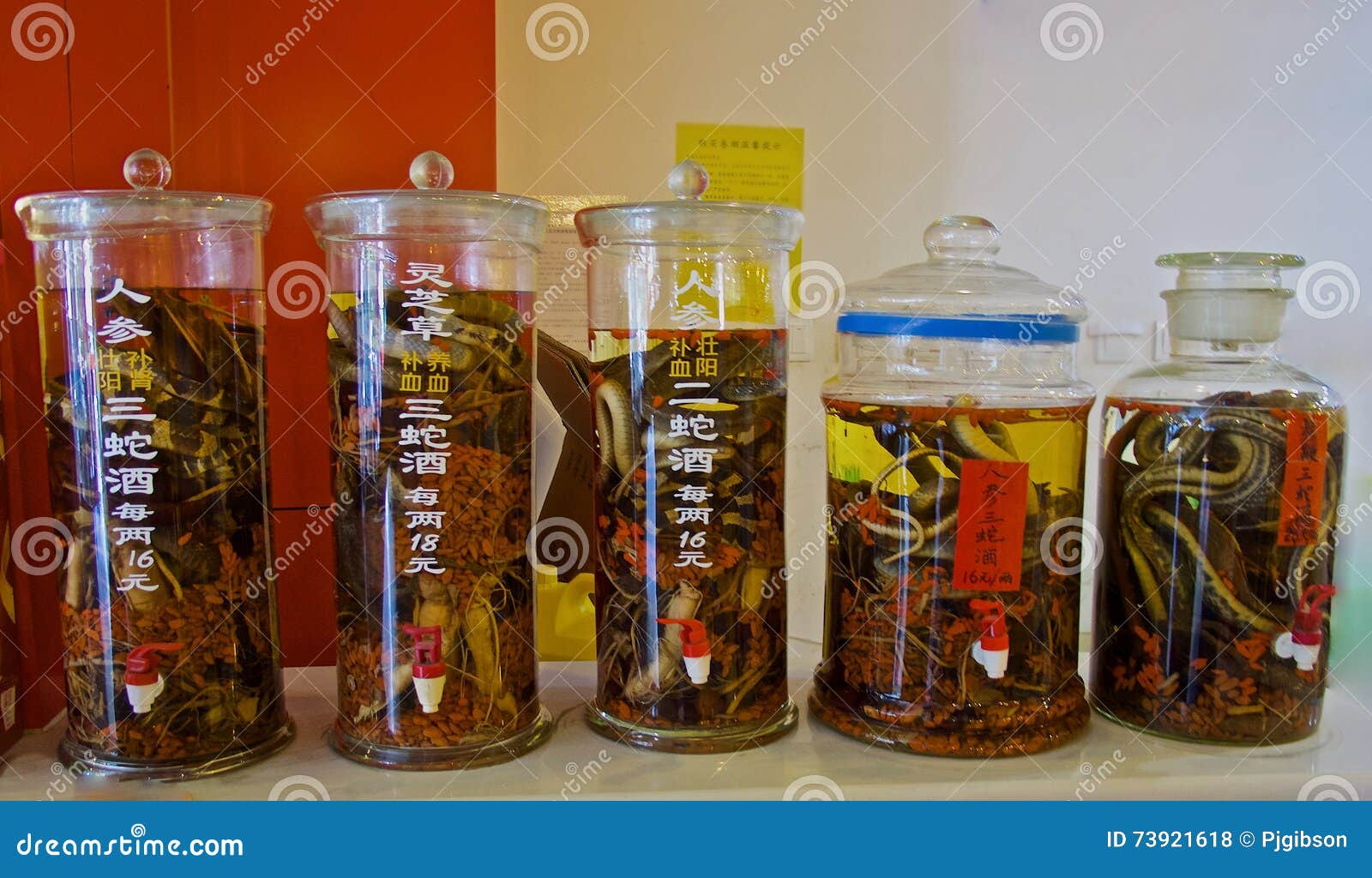 Snakes in Jars editorial stock photo. Image of writing - 73921618