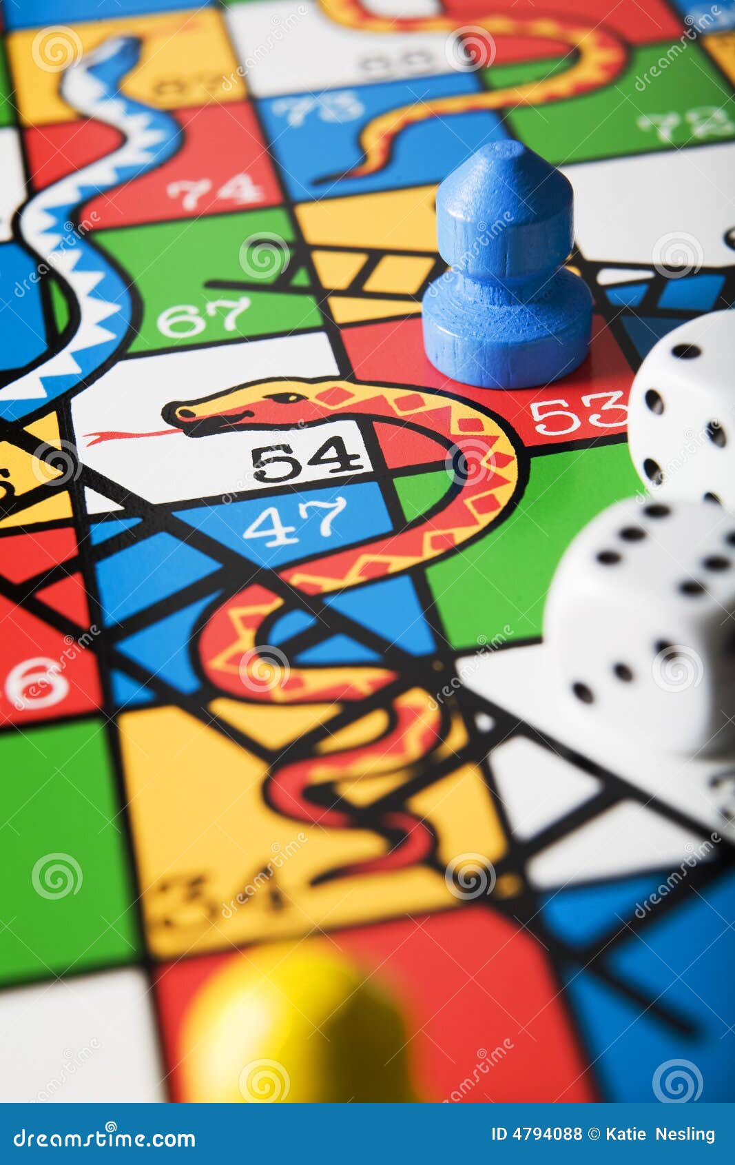 Two Ladder Snakes Biting Male Female Reproduction Royalty-Free Stock ...