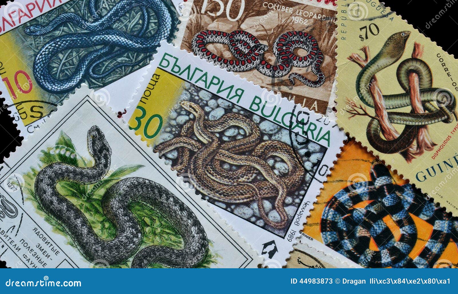 Snakes on stamps editorial stock photo. Image of snake - 44983873