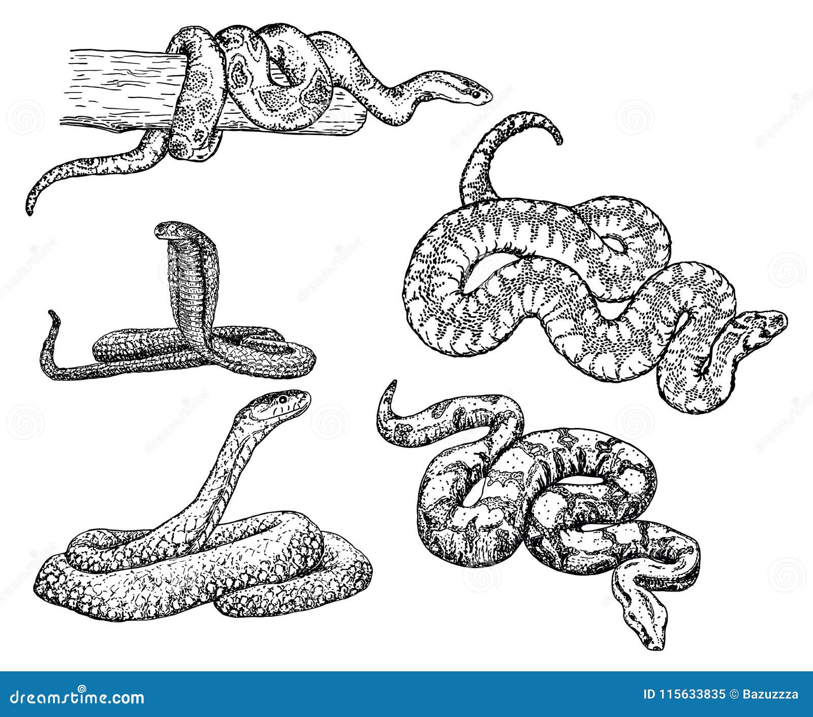 Snakes Vector Sketch Icon Set Stock Vector - Illustration of silhouette ... Snakes Vector Sketch Icon Set Stock Vector - Illustration of silhouette ...