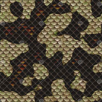 Snakeskin stock image. Image of pattern, reptile, snake - 21738537
