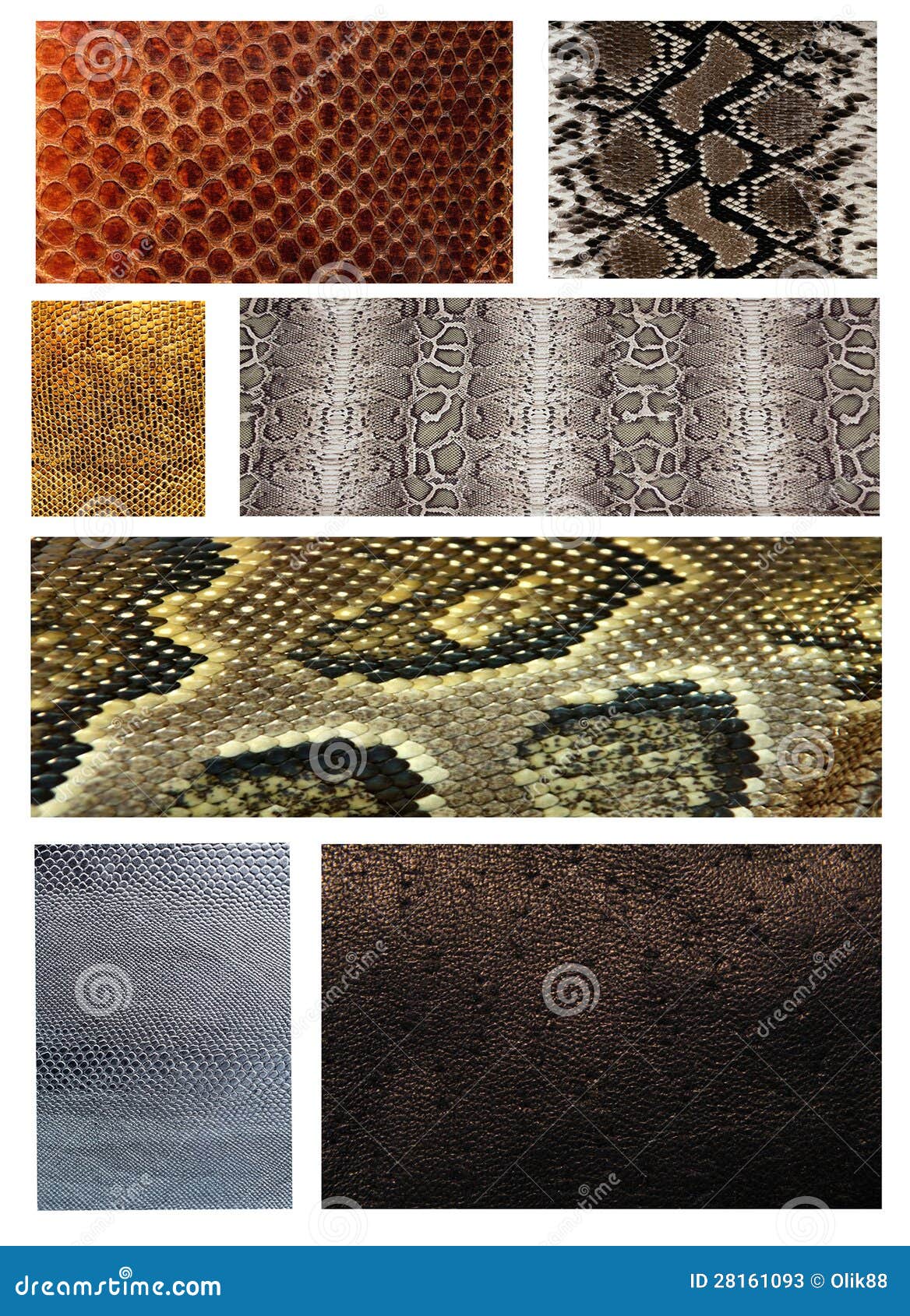 Snakeskin stock image. Image of design, world, decor - 28161093