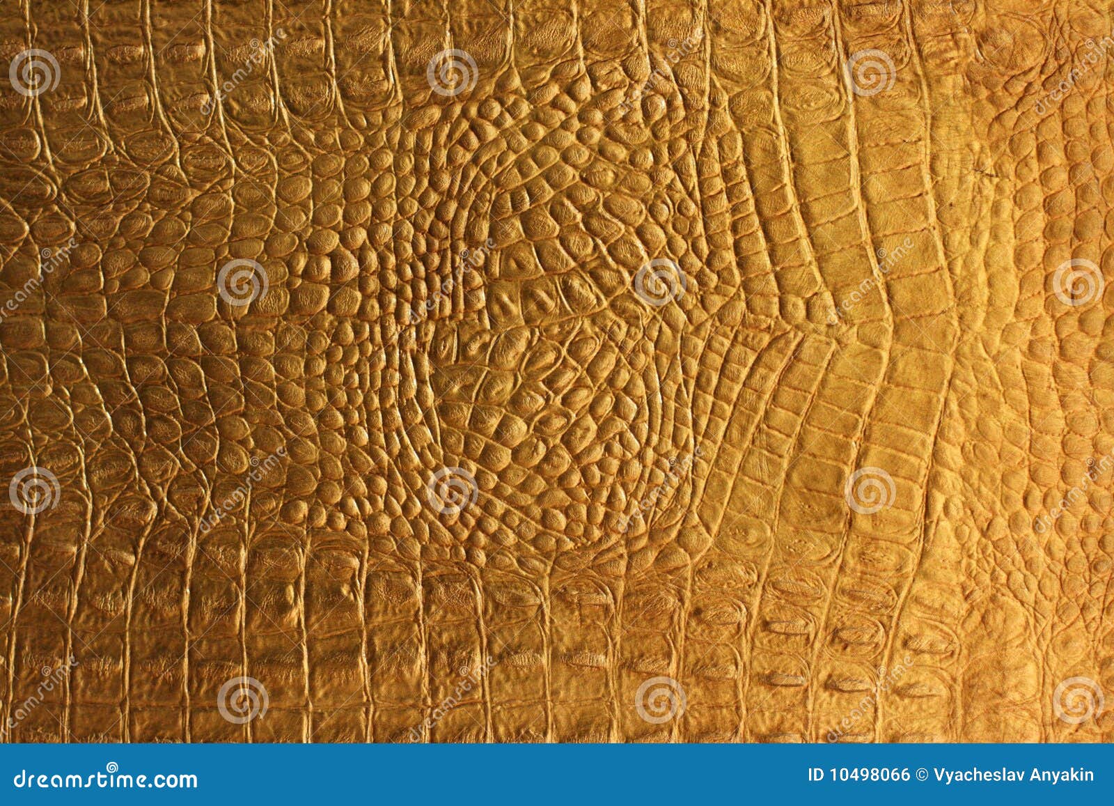 Crocodile Texture Stock Image | CartoonDealer.com #20206915