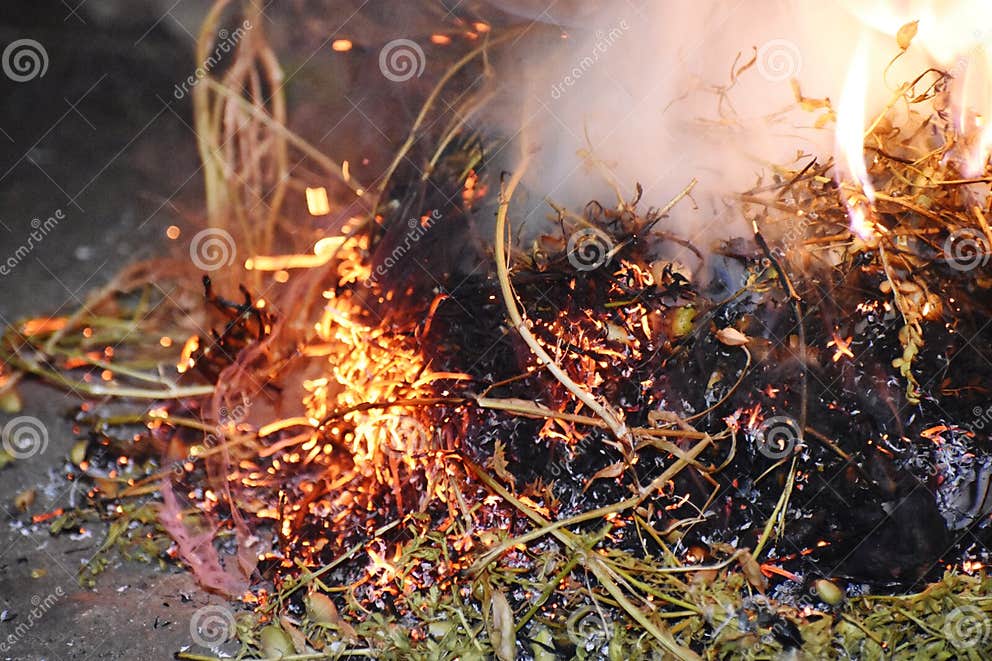 Snap of fire stock photo. Image of fire, screenshot - 231394318