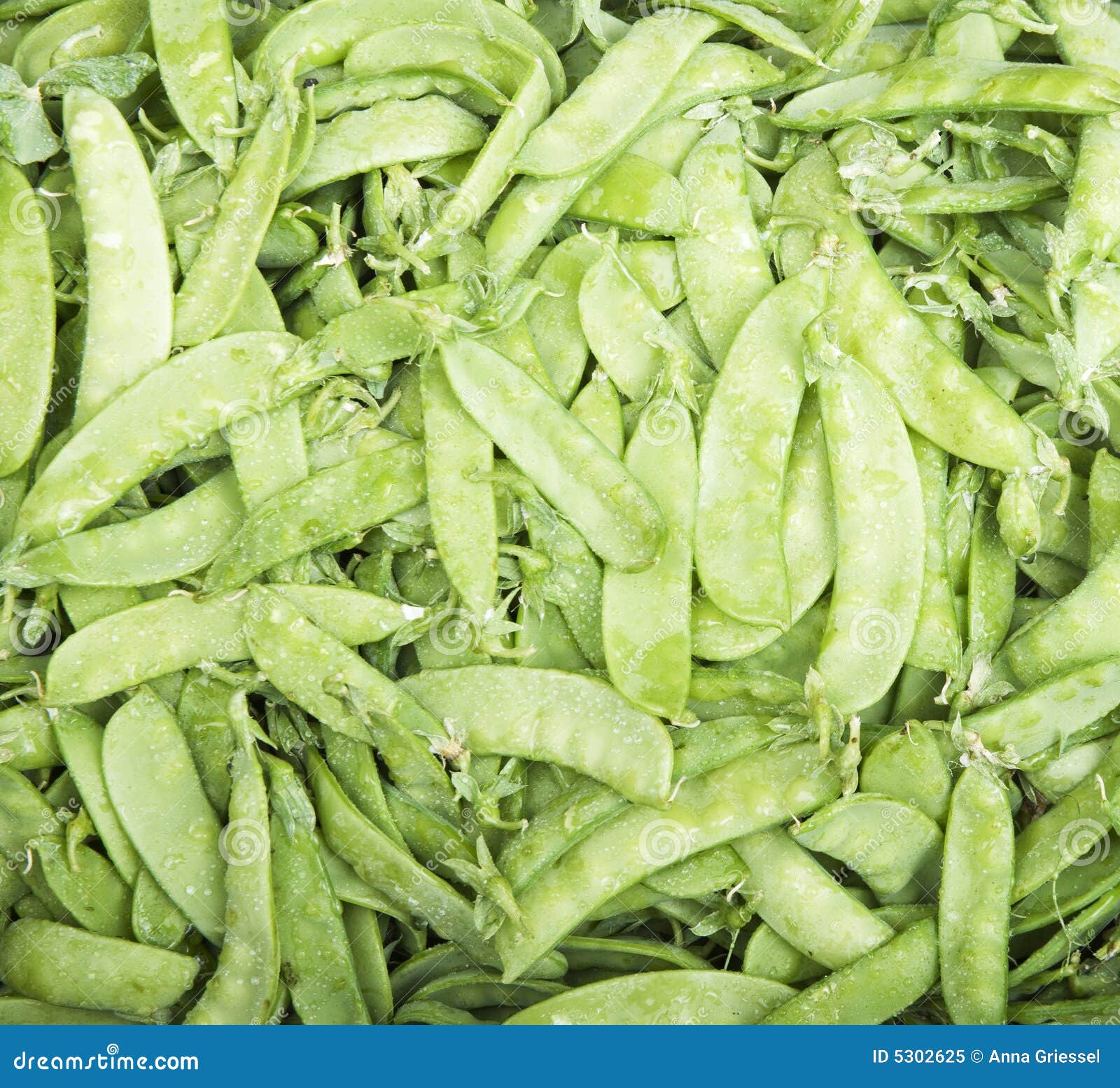Snap Peas stock image. Image of produce, vegetable, organic - 5302625
