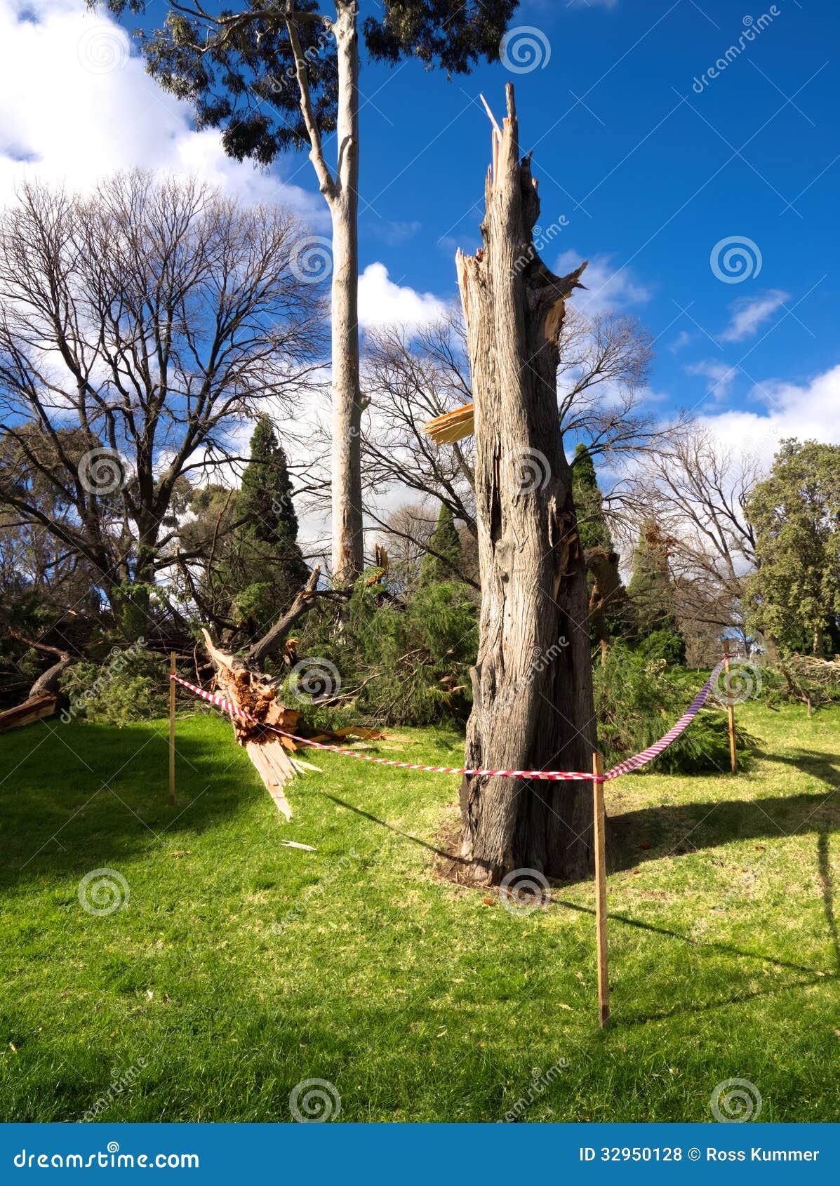 Snap to it stock photo. Image of hurricane, windy, weather - 32950128