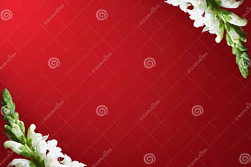Snapdragon Border on Red Background Stock Image - Image of dragon ...