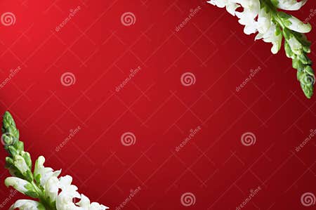 Snapdragon Border on Red Background Stock Image - Image of dragon ...