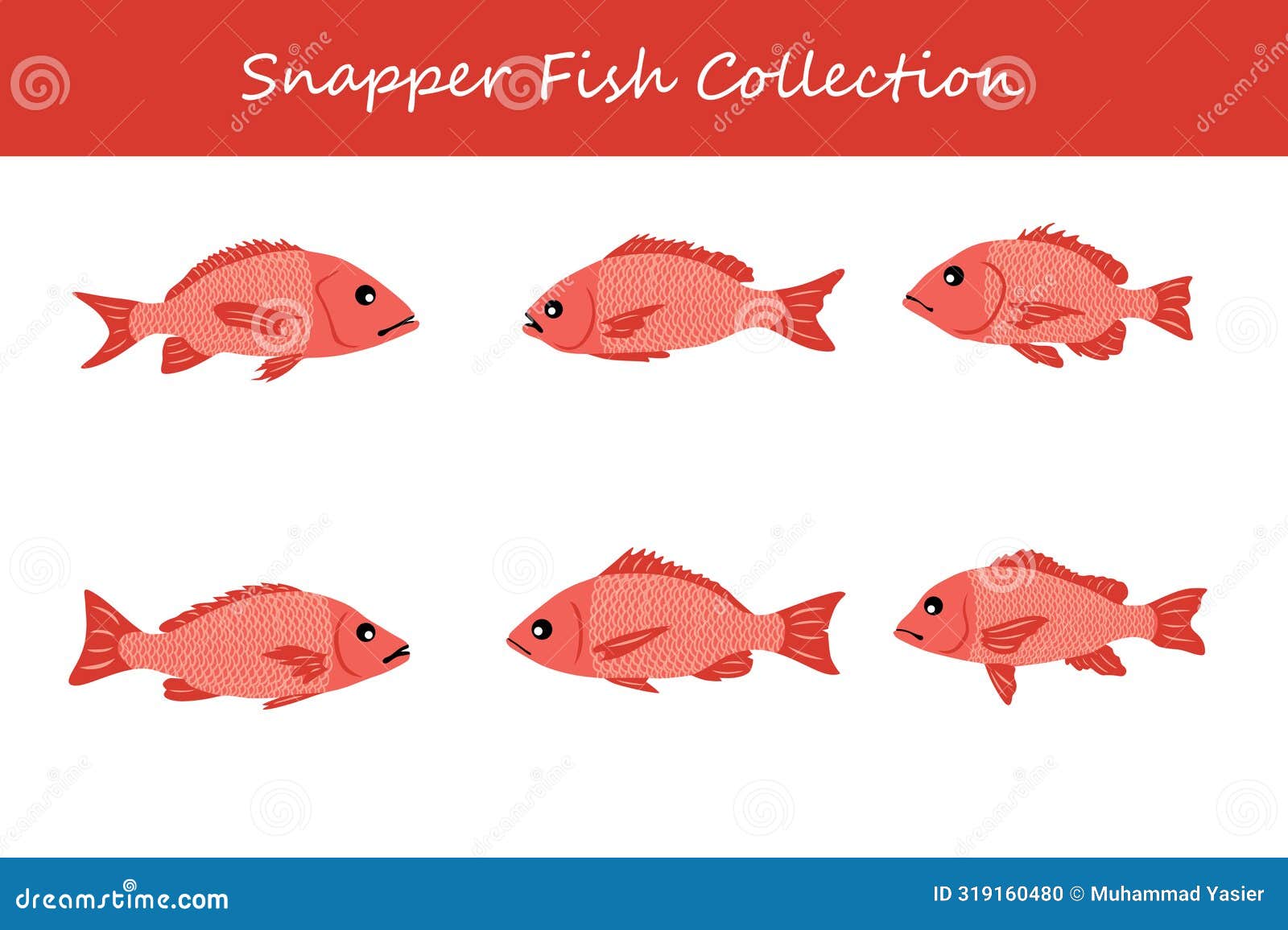 Snapper Fish Collection. Snapper Fish in Different Poses. Vector ...