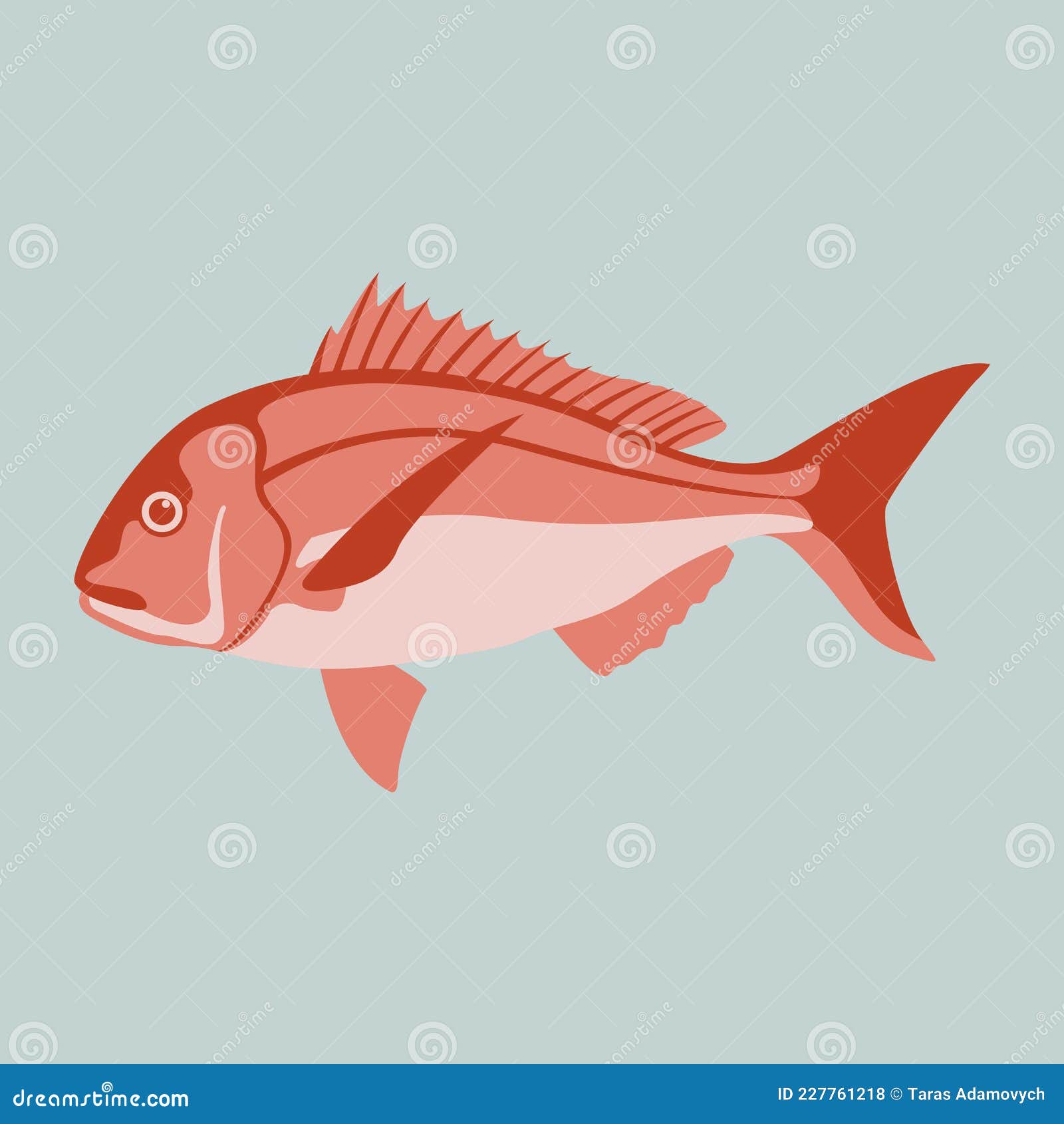 Snapper Fish, Vector Illustration, Lining Draw Side | CartoonDealer.com ...
