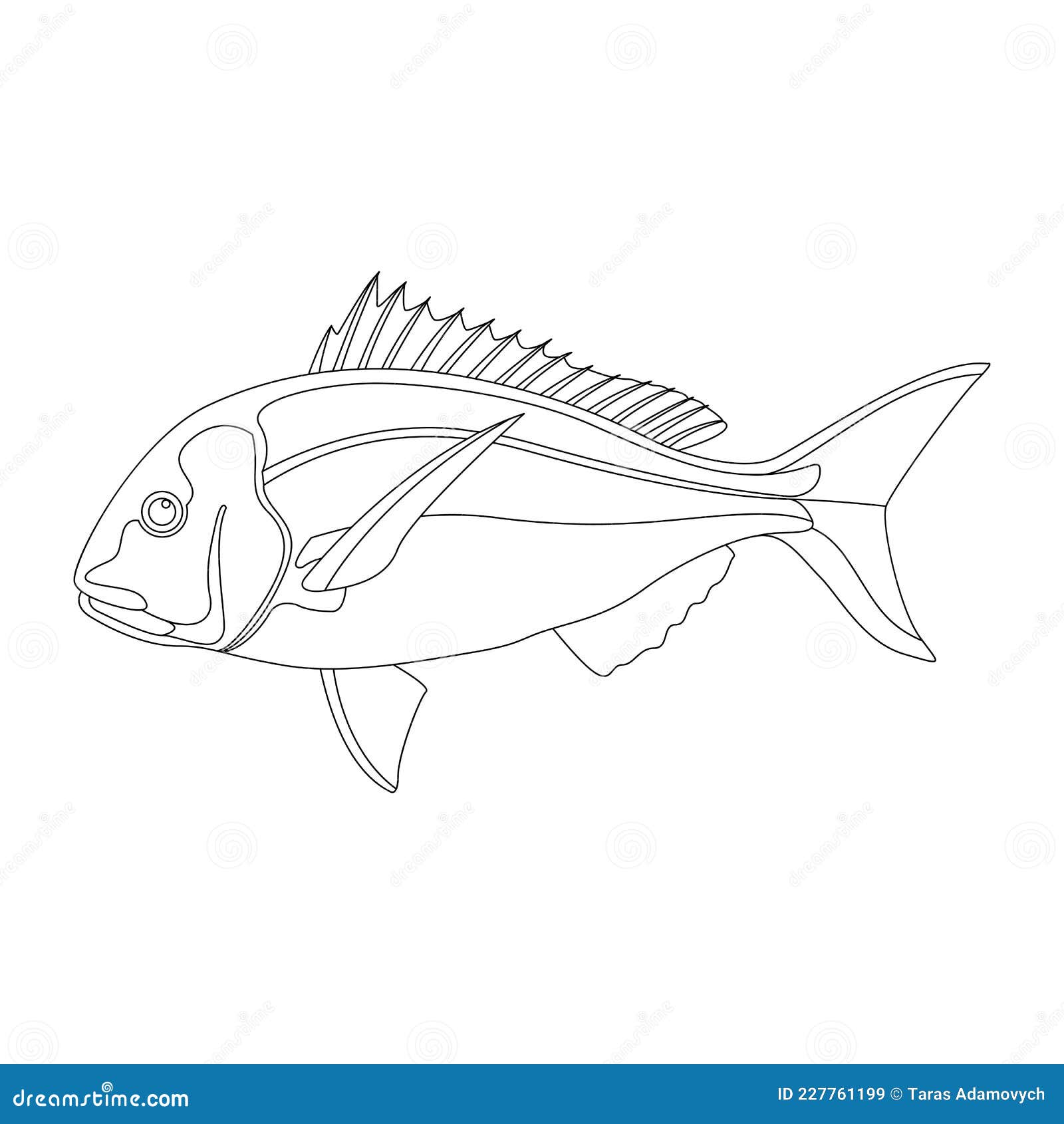 Snapper Fish, Vector Illustration, Lining Draw Side | CartoonDealer.com ...