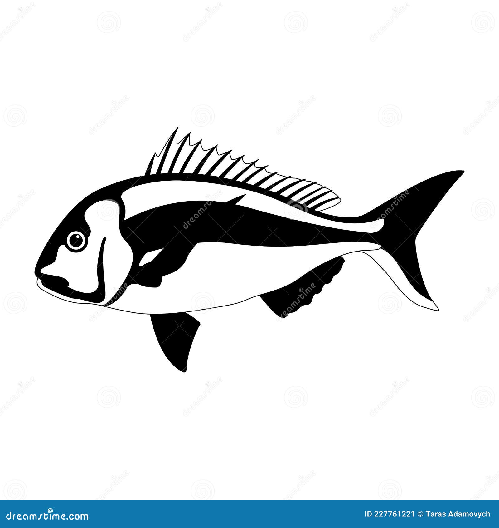 Snapper Fish, Vector Illustration, Lining Draw Side Stock Vector ...