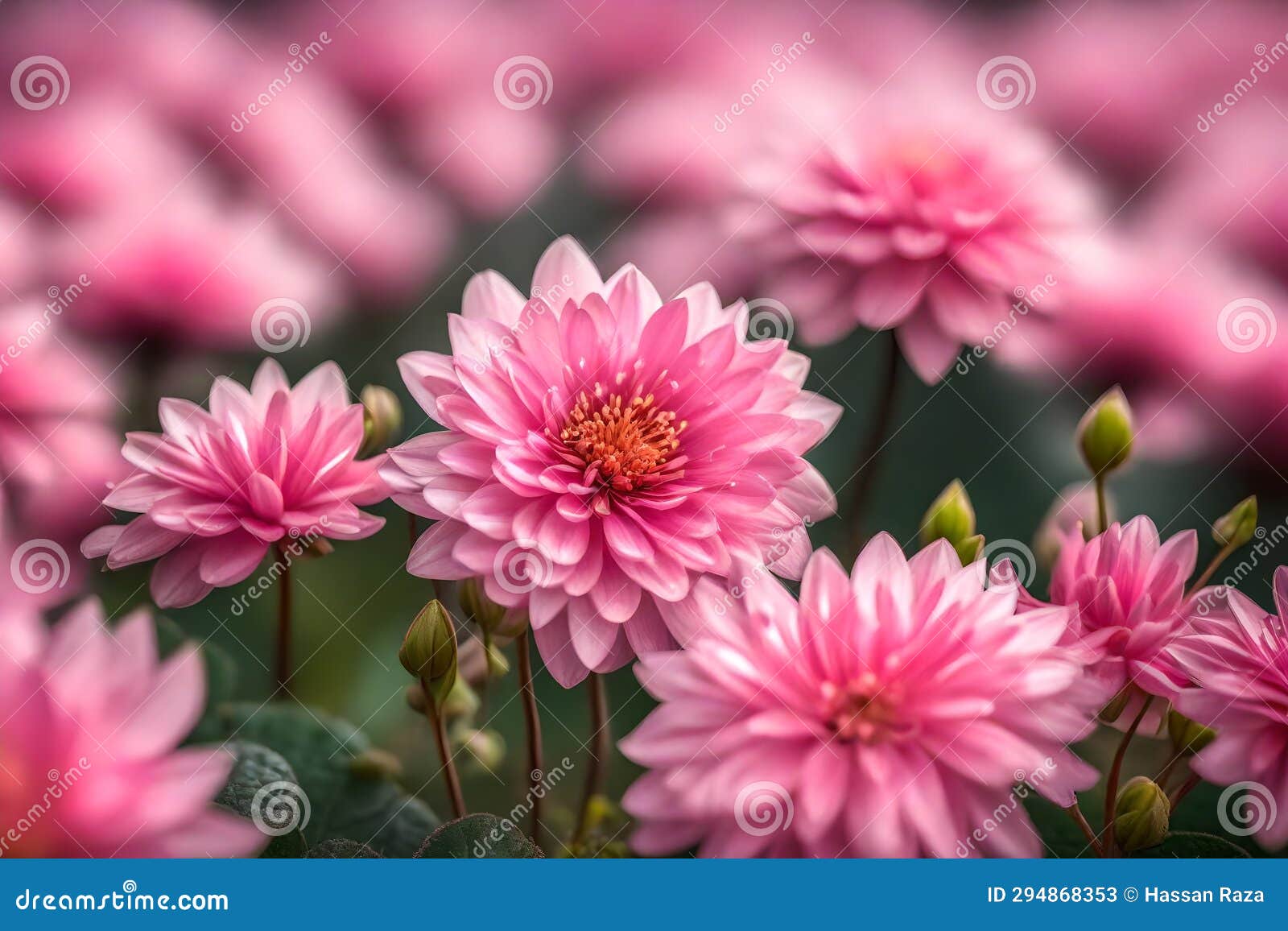 Snapshot of a Pink Bloom Up Close Stock Illustration - Illustration of ...