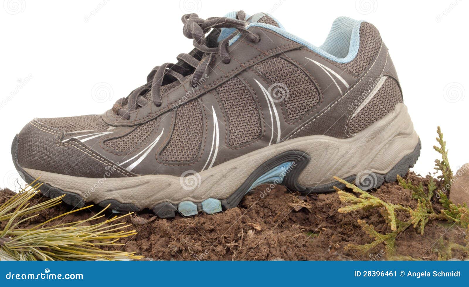 Sneaker in Nature stock image. Image of equipment, isolated - 28396461